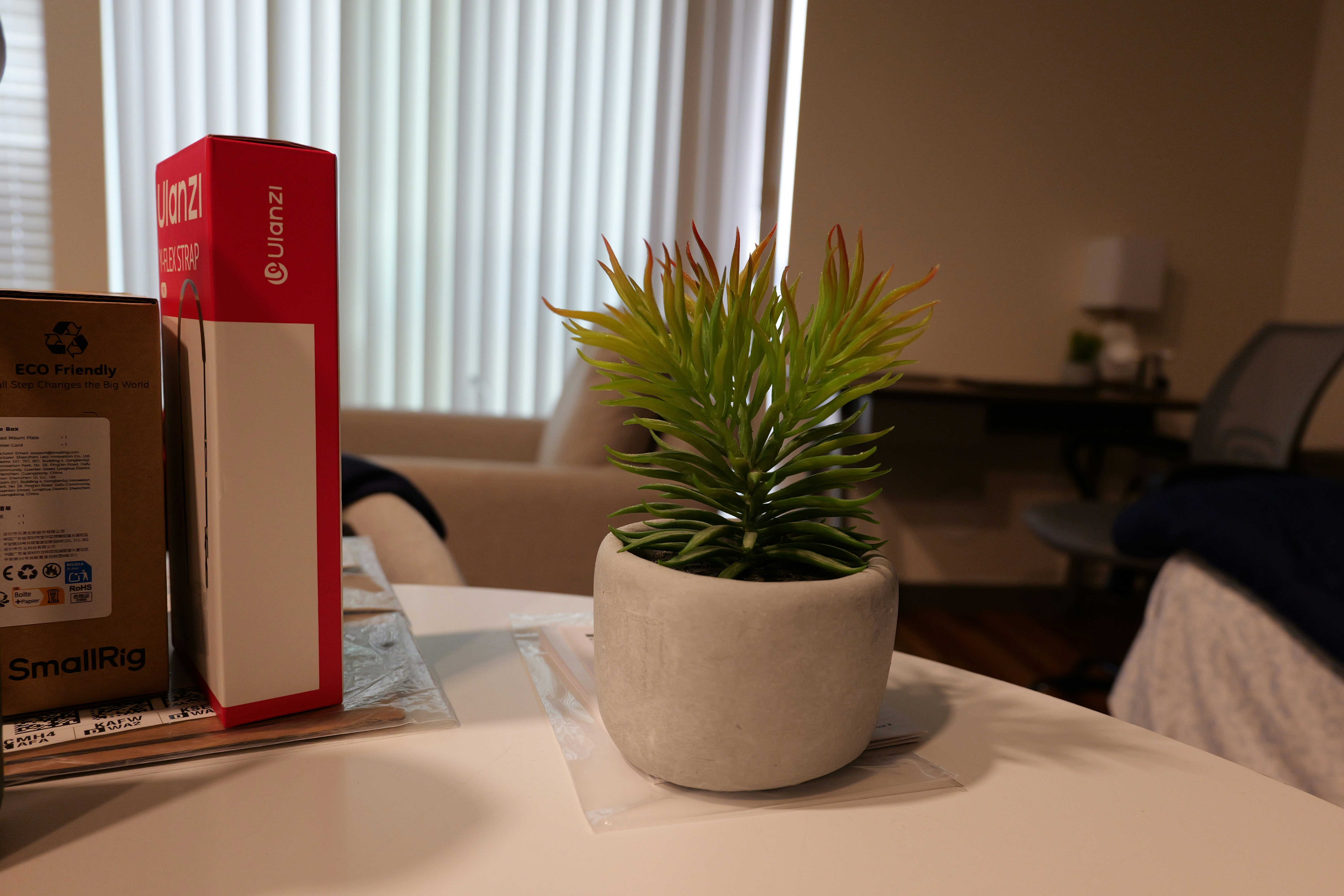Desk Oasis: A Tiny Plant, a Capsule of Calm