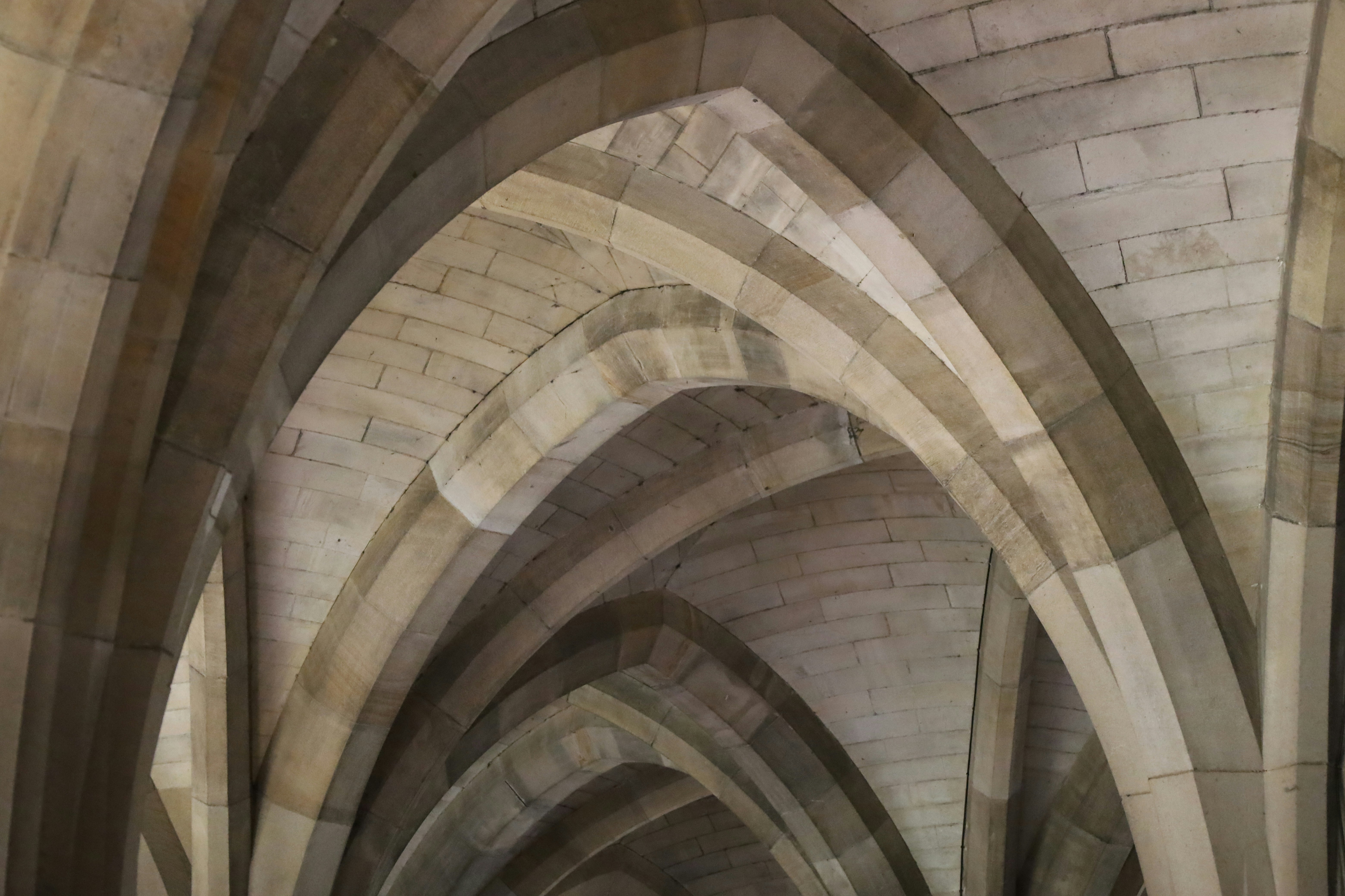 Vaulted Symmetry: A Web of Arches in Stone