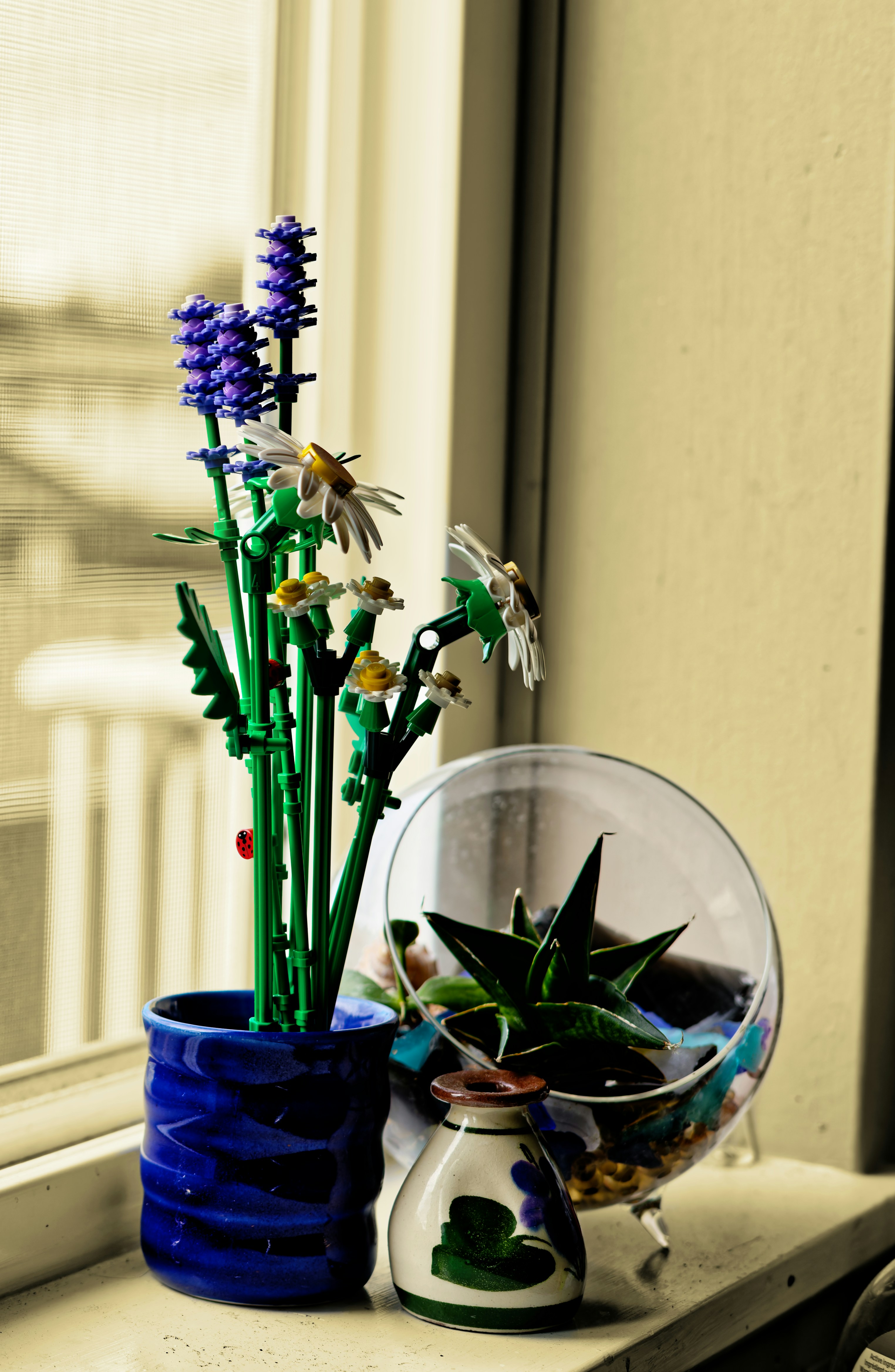 Vivid Potted Blooms by the Window