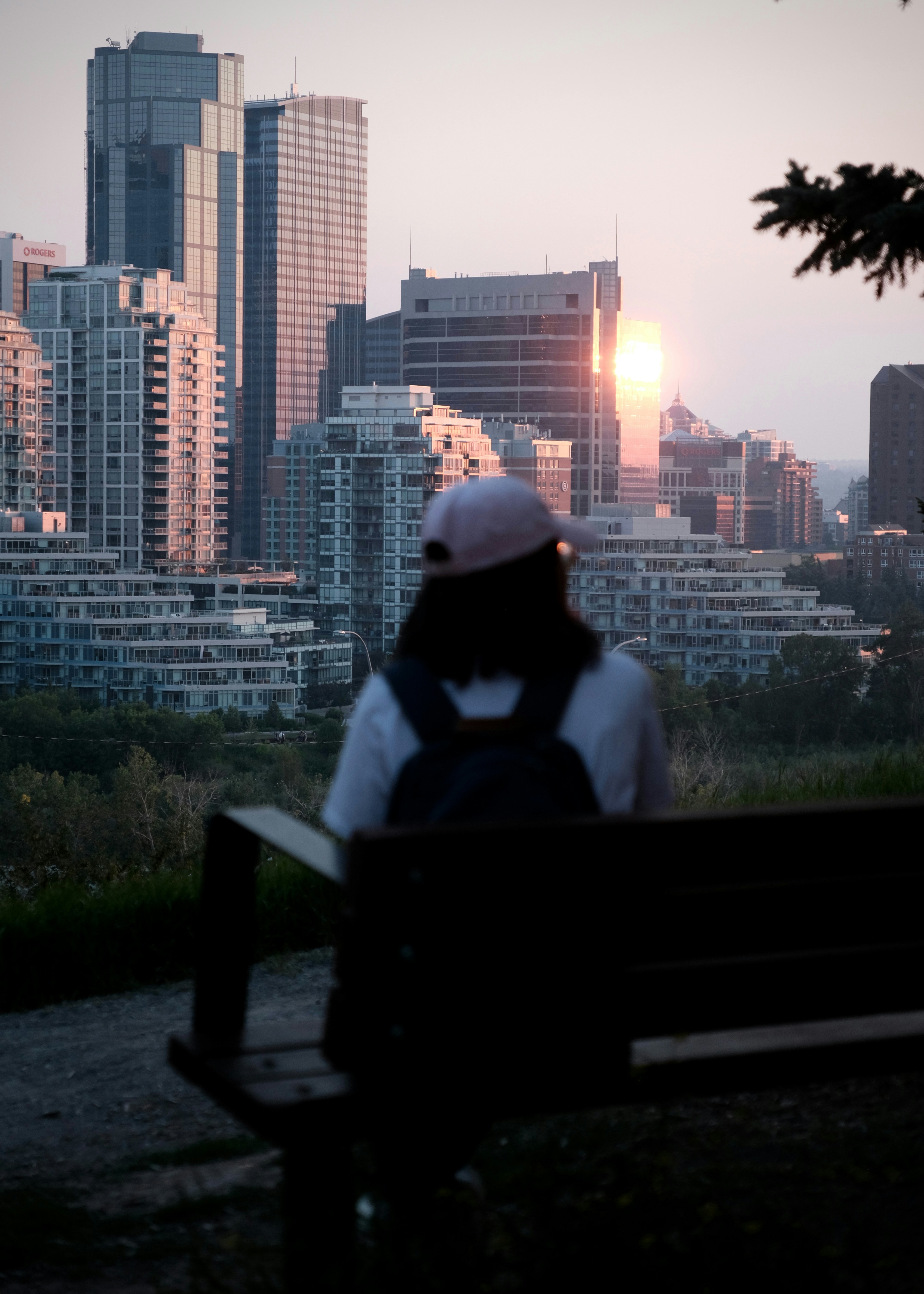 City Glow from the Quiet Bench