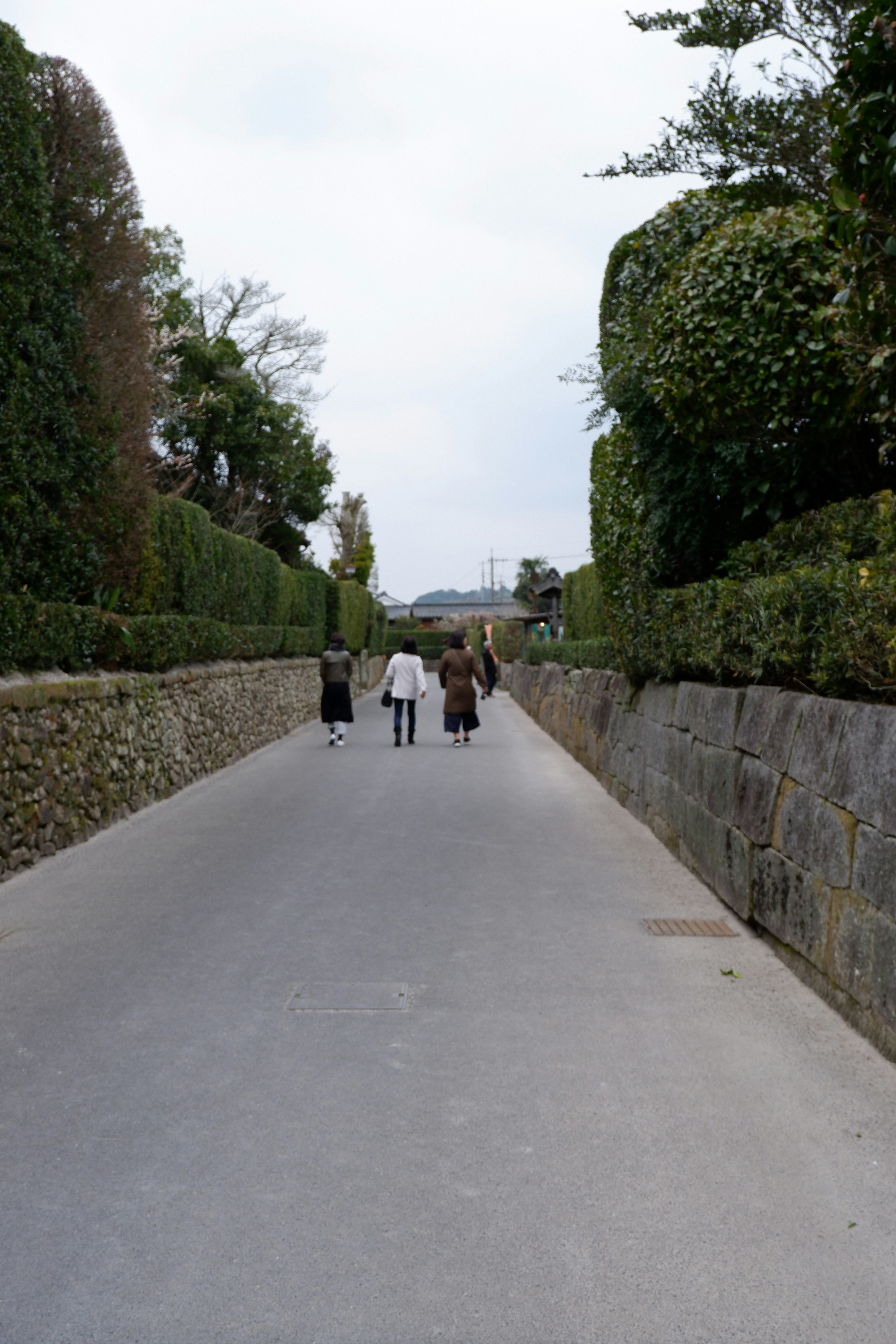 A Quiet Walk Through a Walled Green Corridor