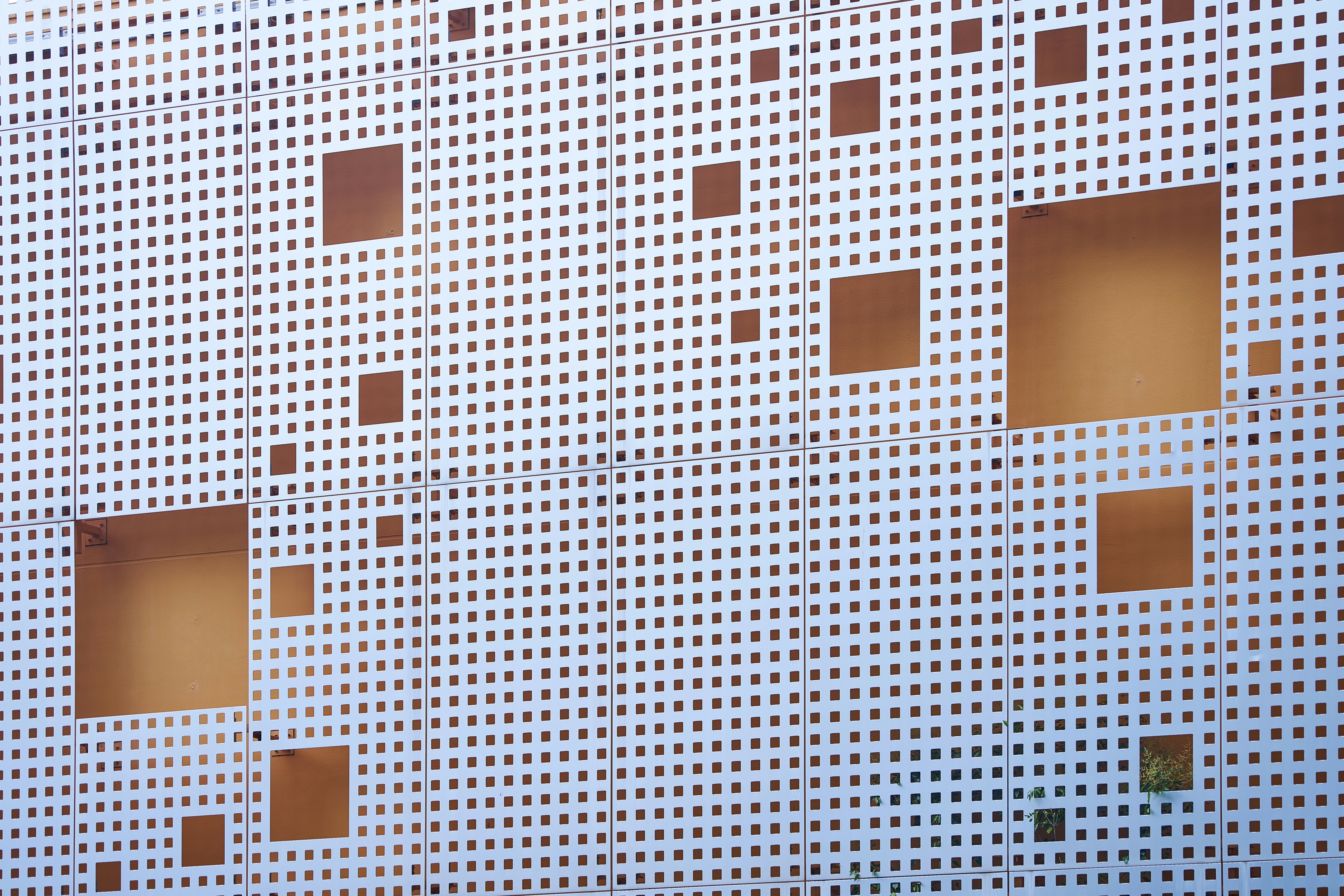 Geometric Dapples: A Lattice of Squares and Shadows