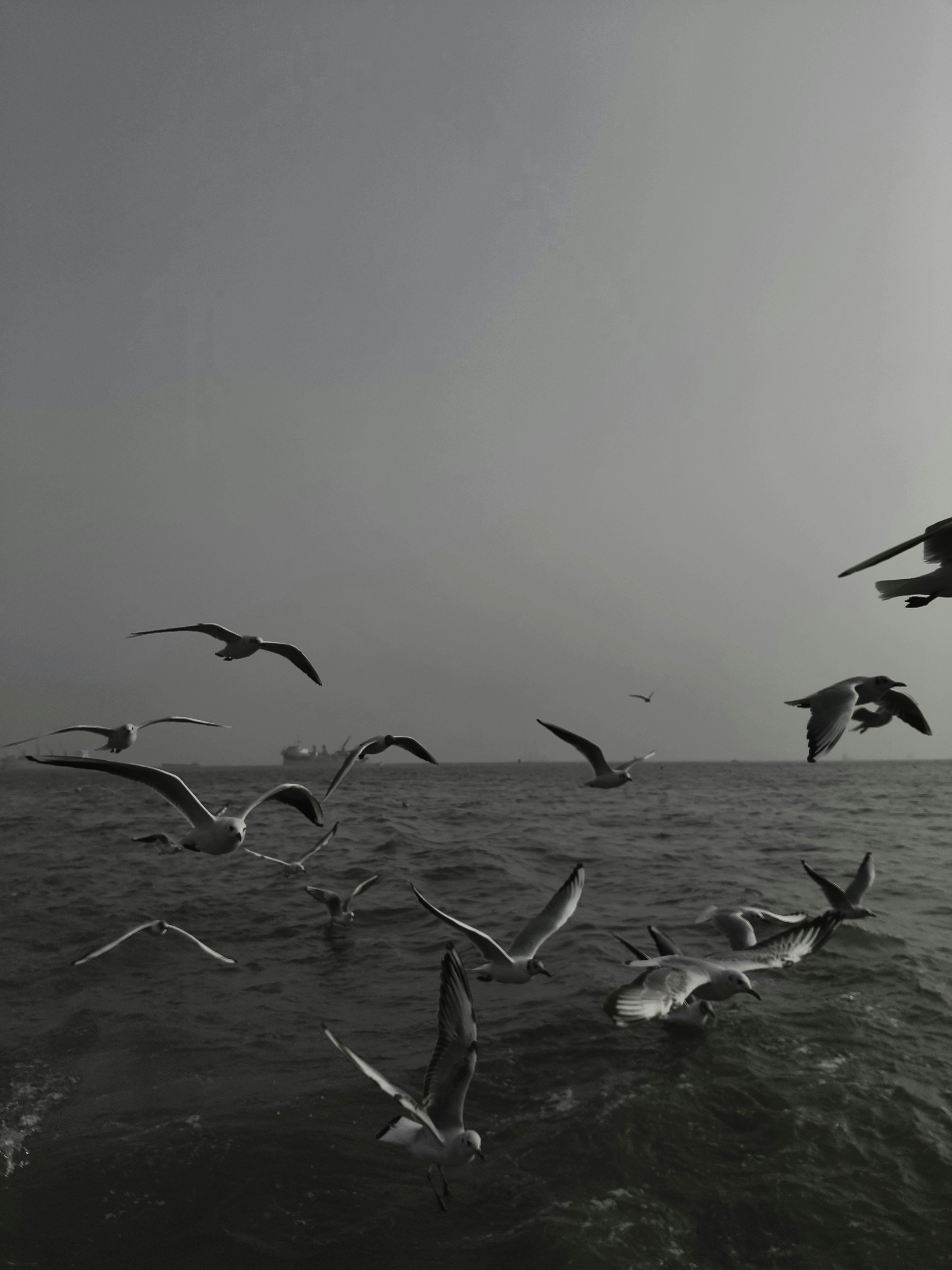 Towering Flight over a Stormy Sea