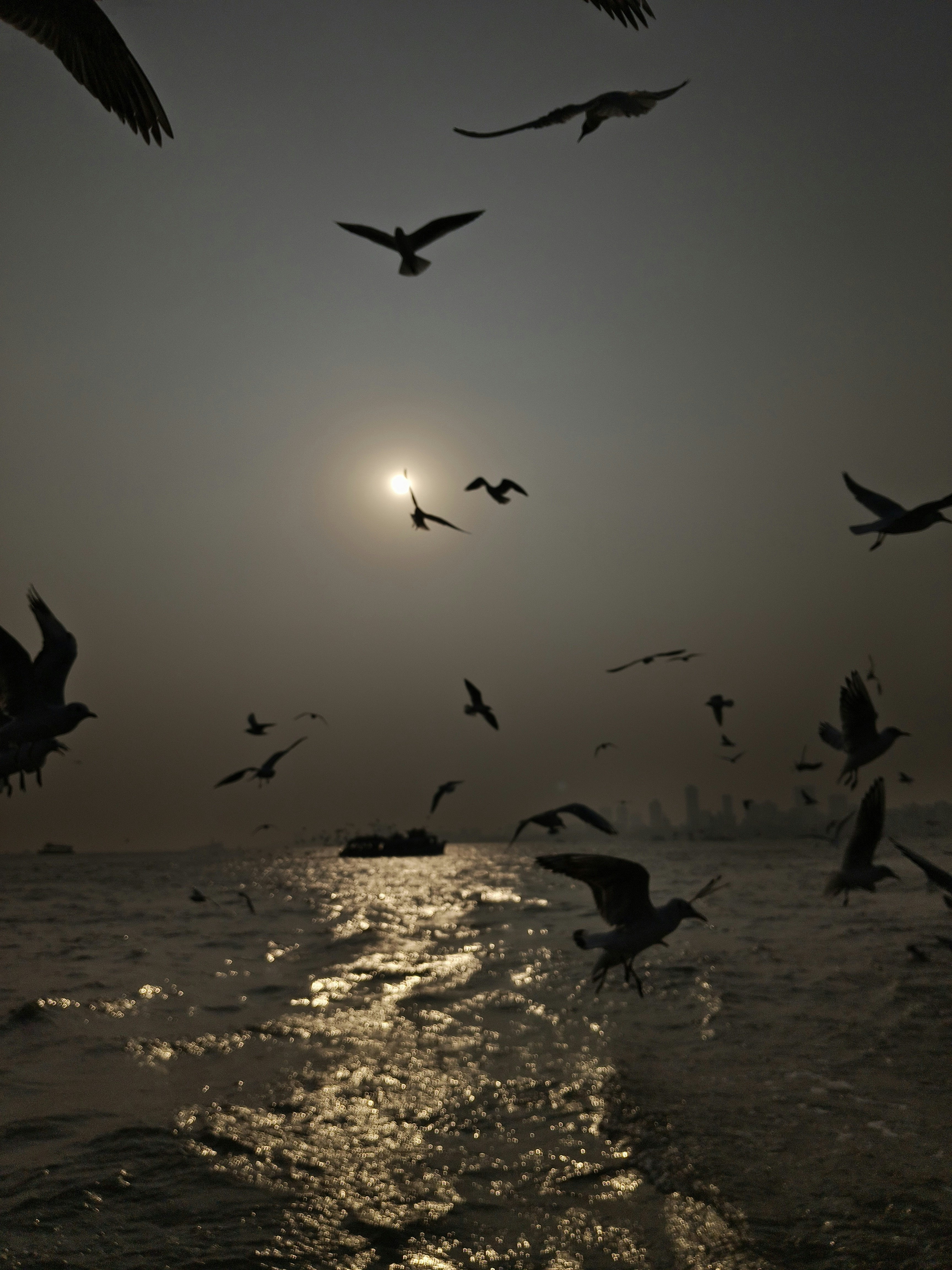 Moonlit Wings Over a Glimmering Sea