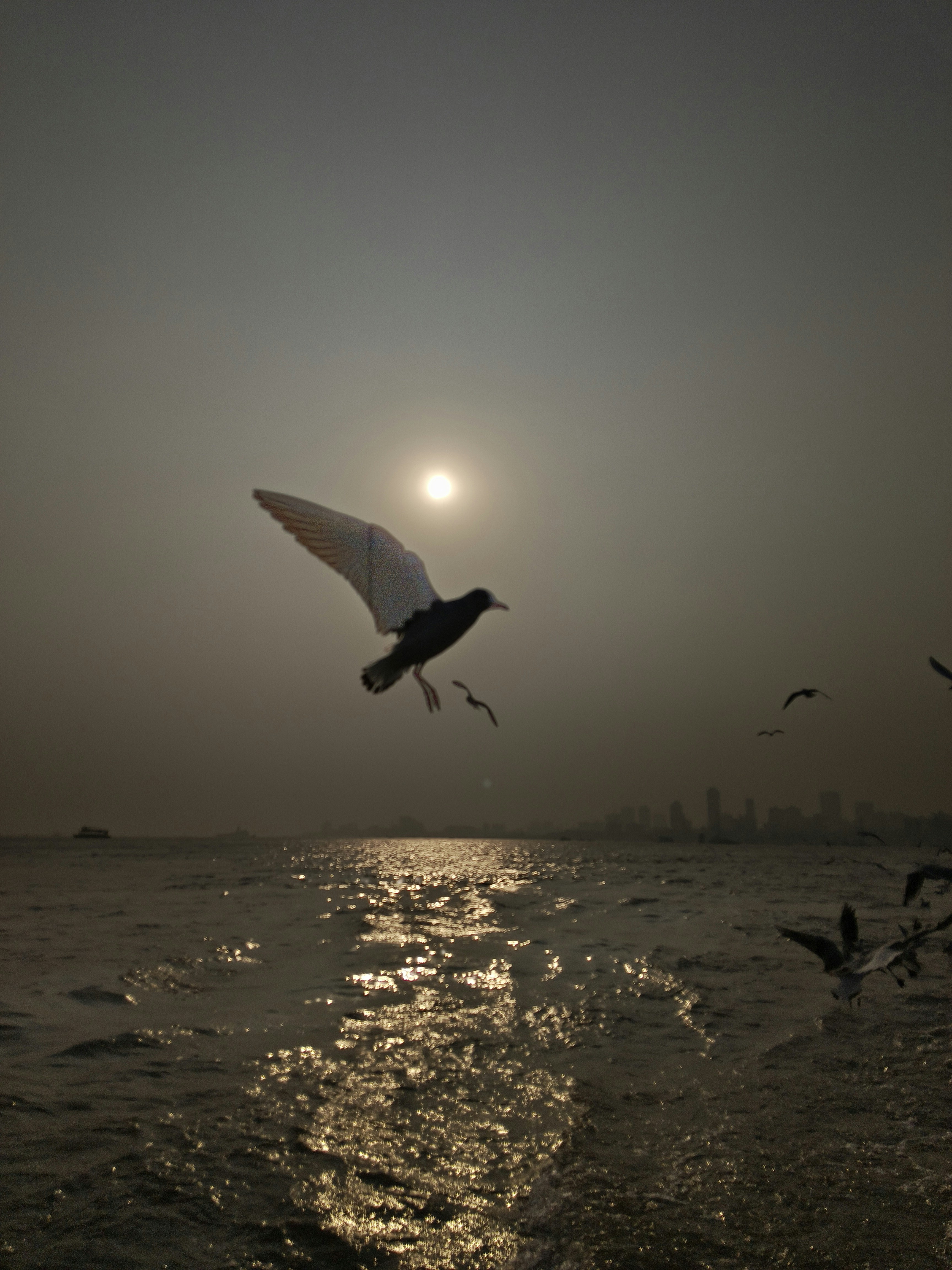Moonlit Flight Over a Quiet Horizon