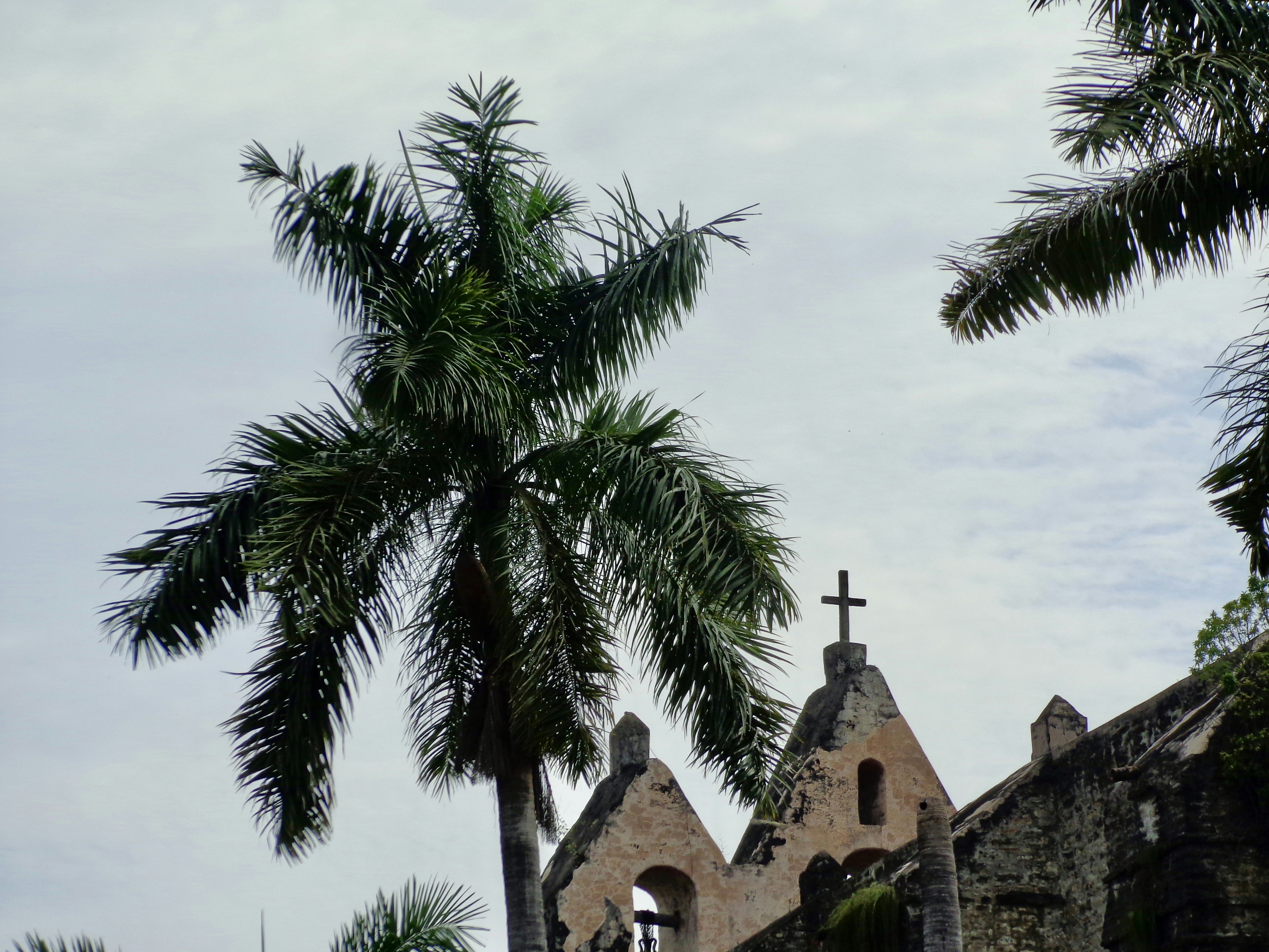 Cross and palm silhouettes over weathered church façade