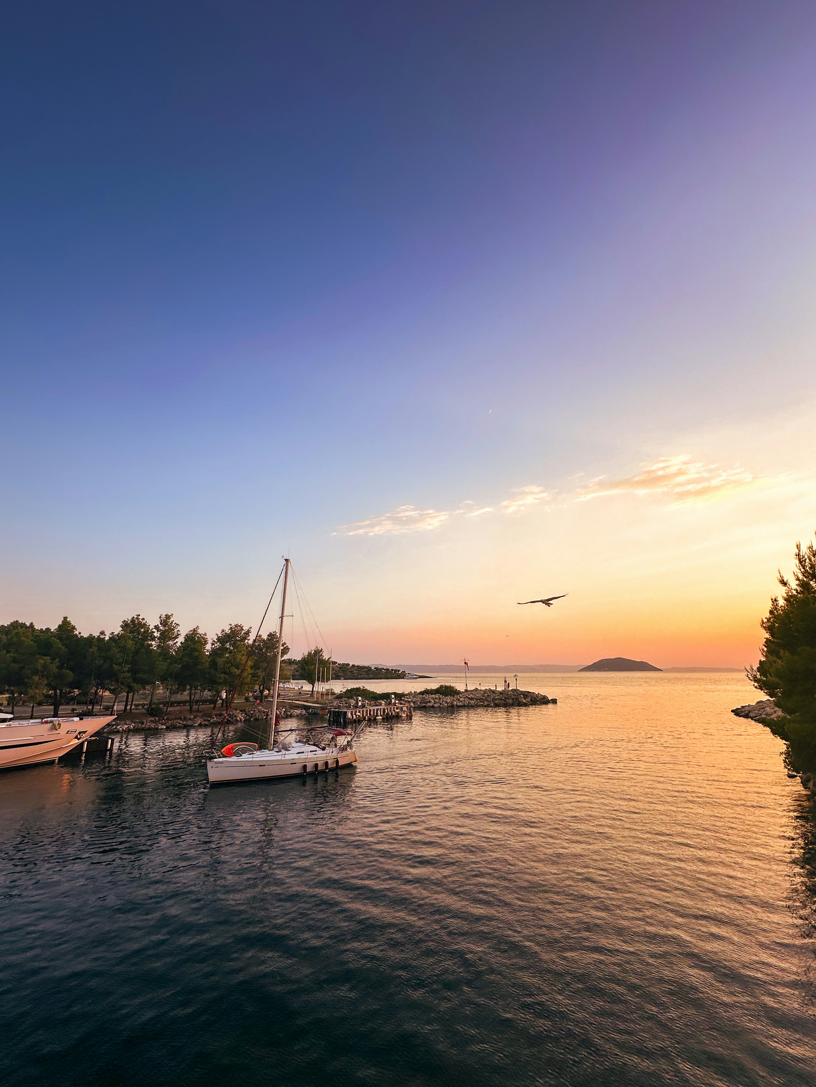 Sunset Harbor: Boats, Island, and a Soaring Gull