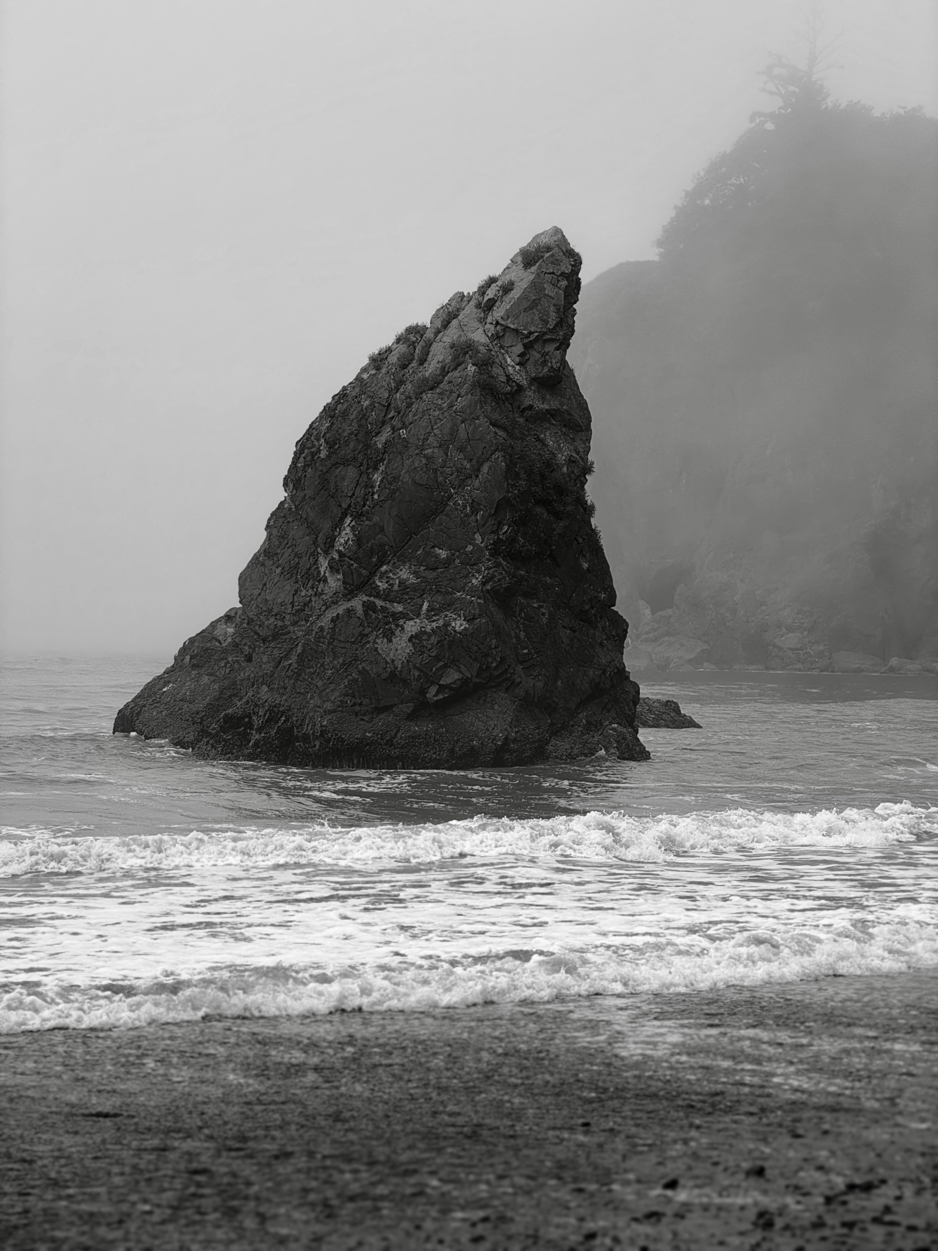 Lone Sea Needle in Morning Mist