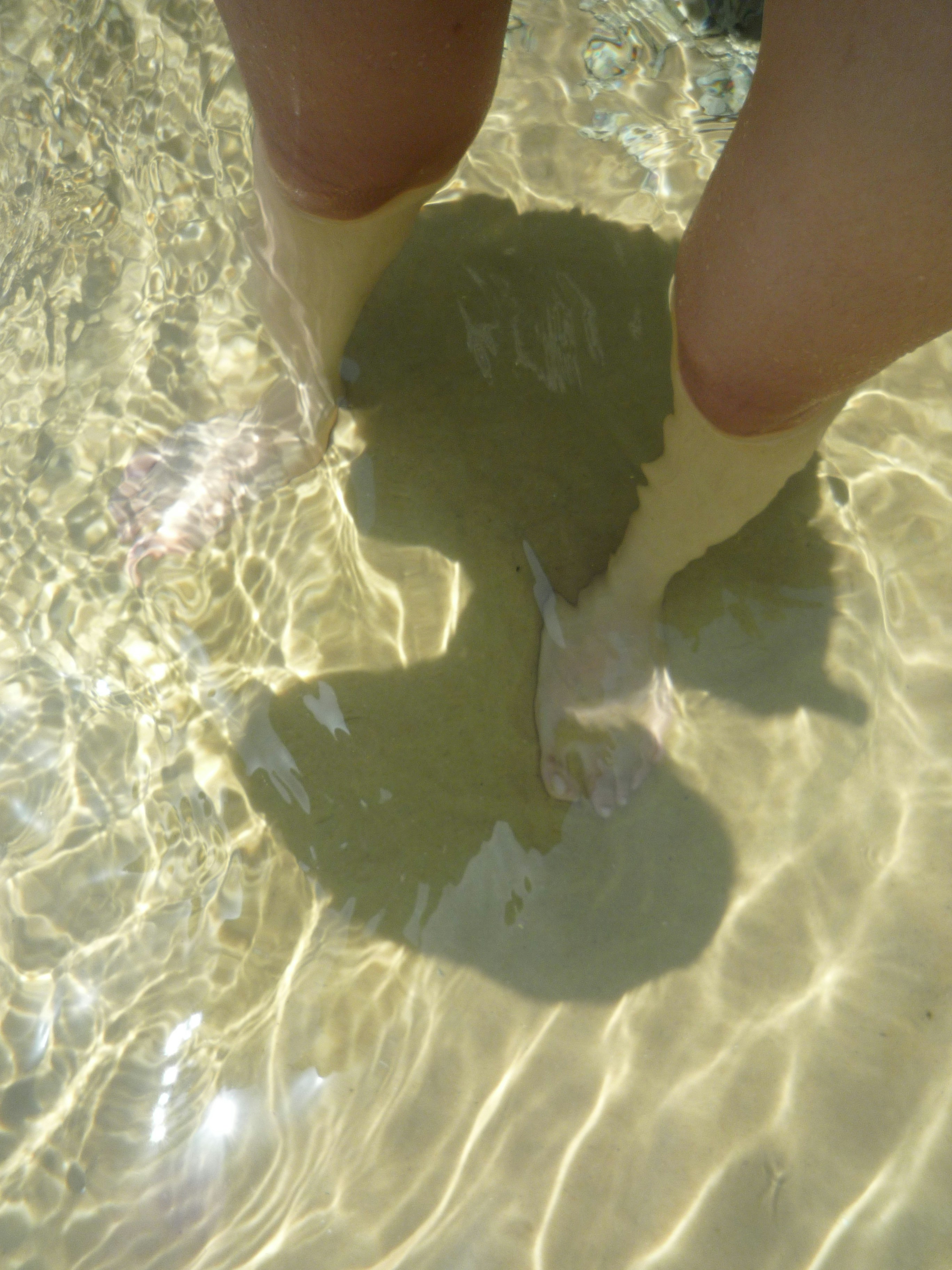 Shadows and Sand: Feet Planting in Sunlit Tide