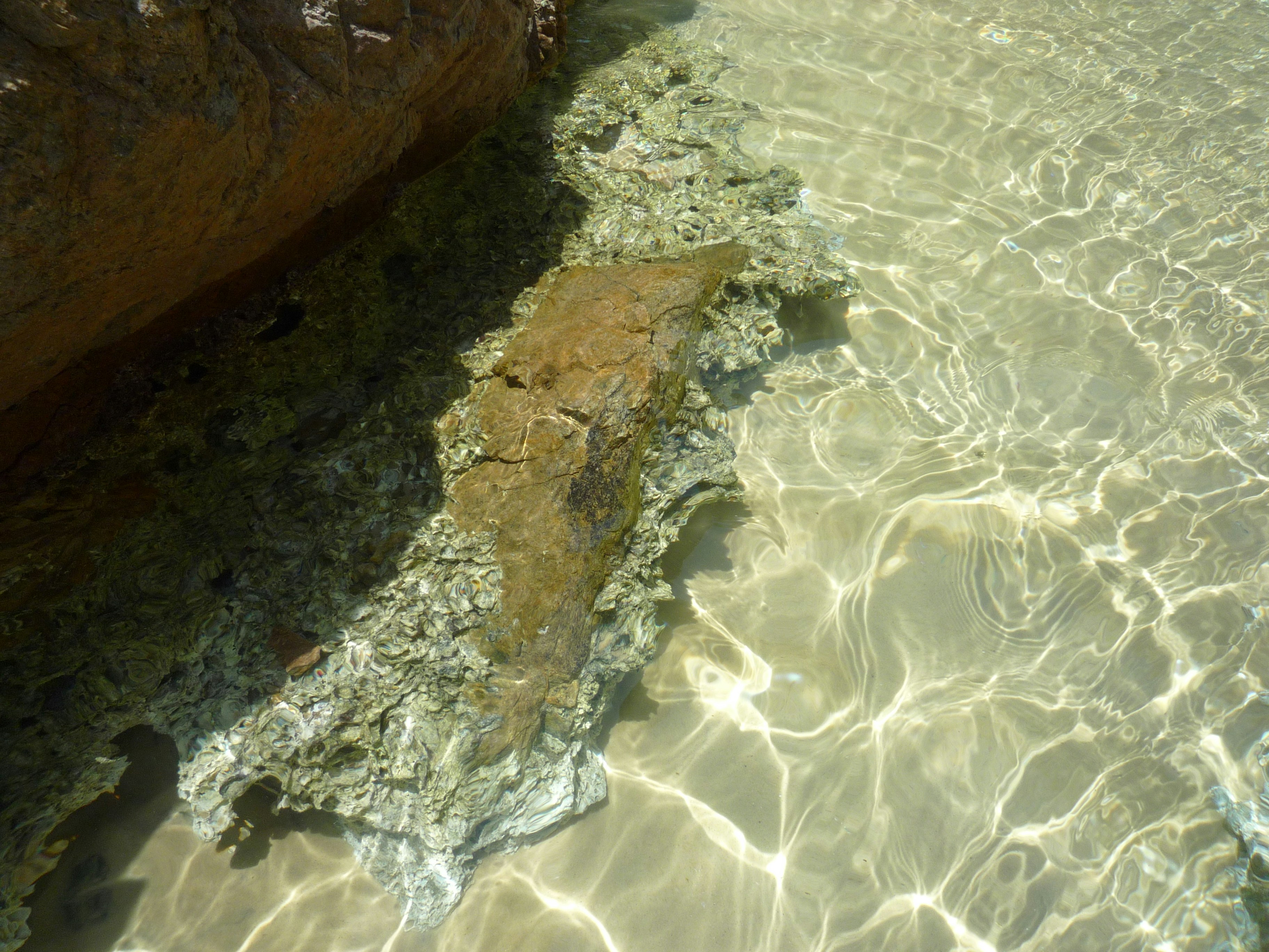 Moonlit Tide: Weathered Rock Edge Meets Clear Aquamarine