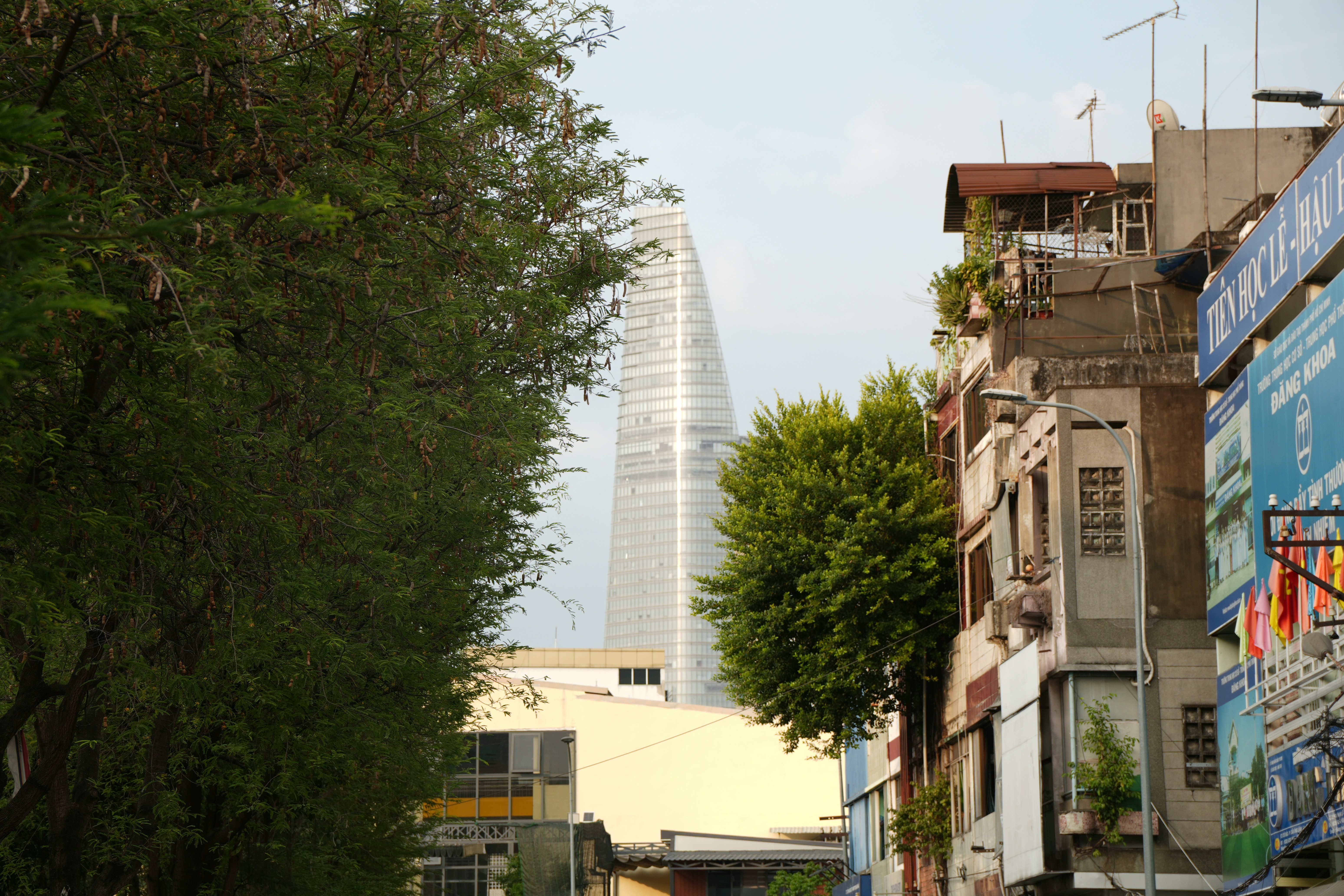 City Street Converging to a Silhouette: Tower Peaks Over Urban Canopy