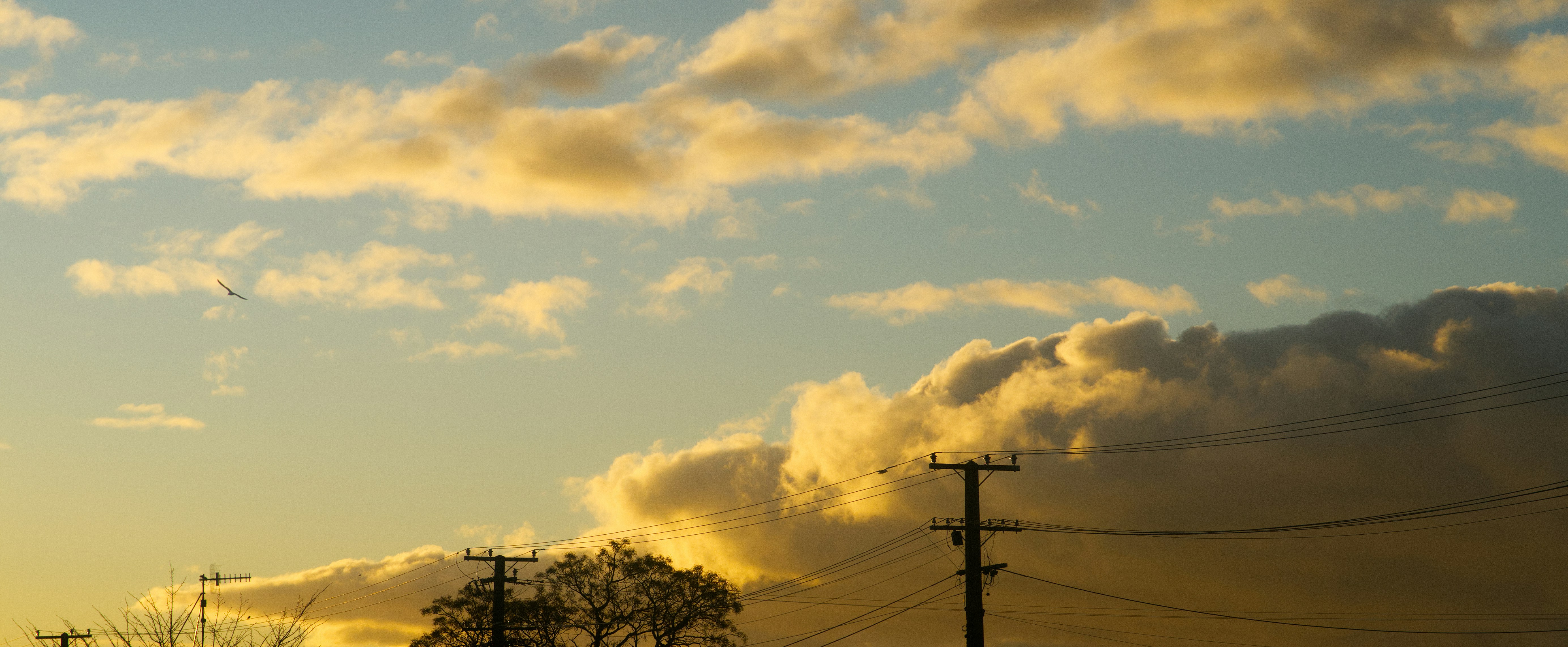 Sunlit Crest: A Quiet Skyline at Dusk