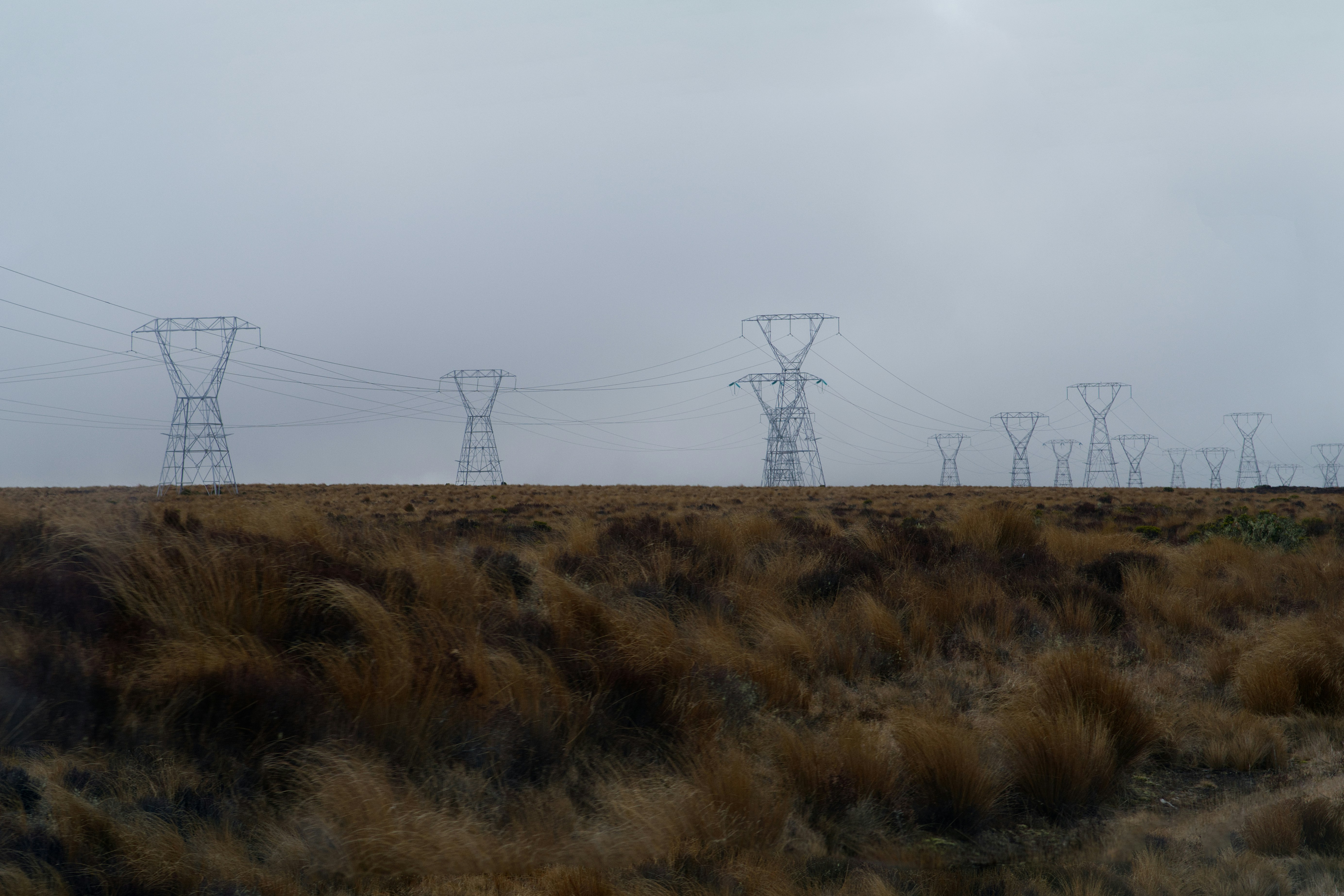 Power Lines on the Plains: A Quiet Corridor of Towers Across the Bittern Desert
