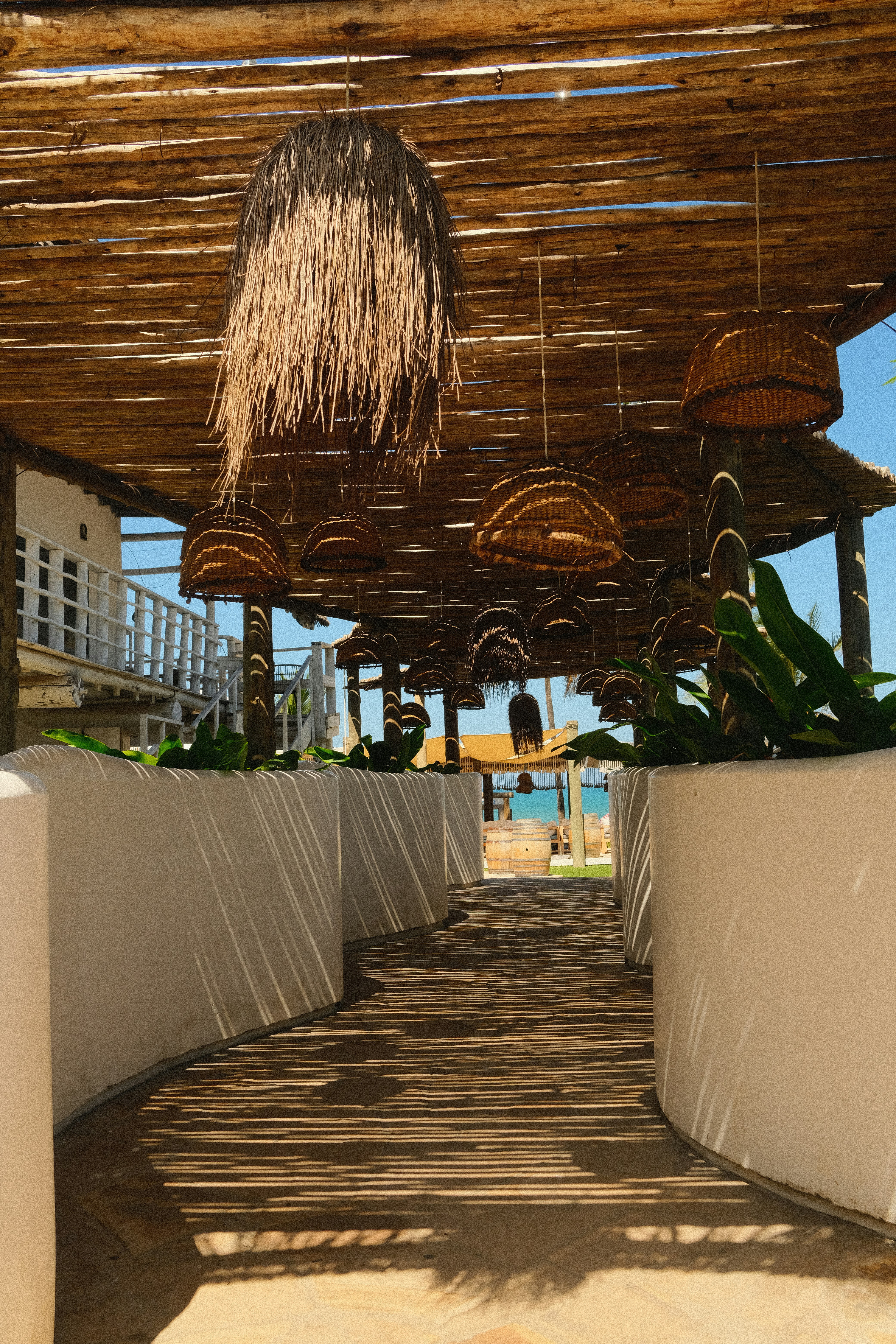 Sunlit Corridor of Shade and Strands