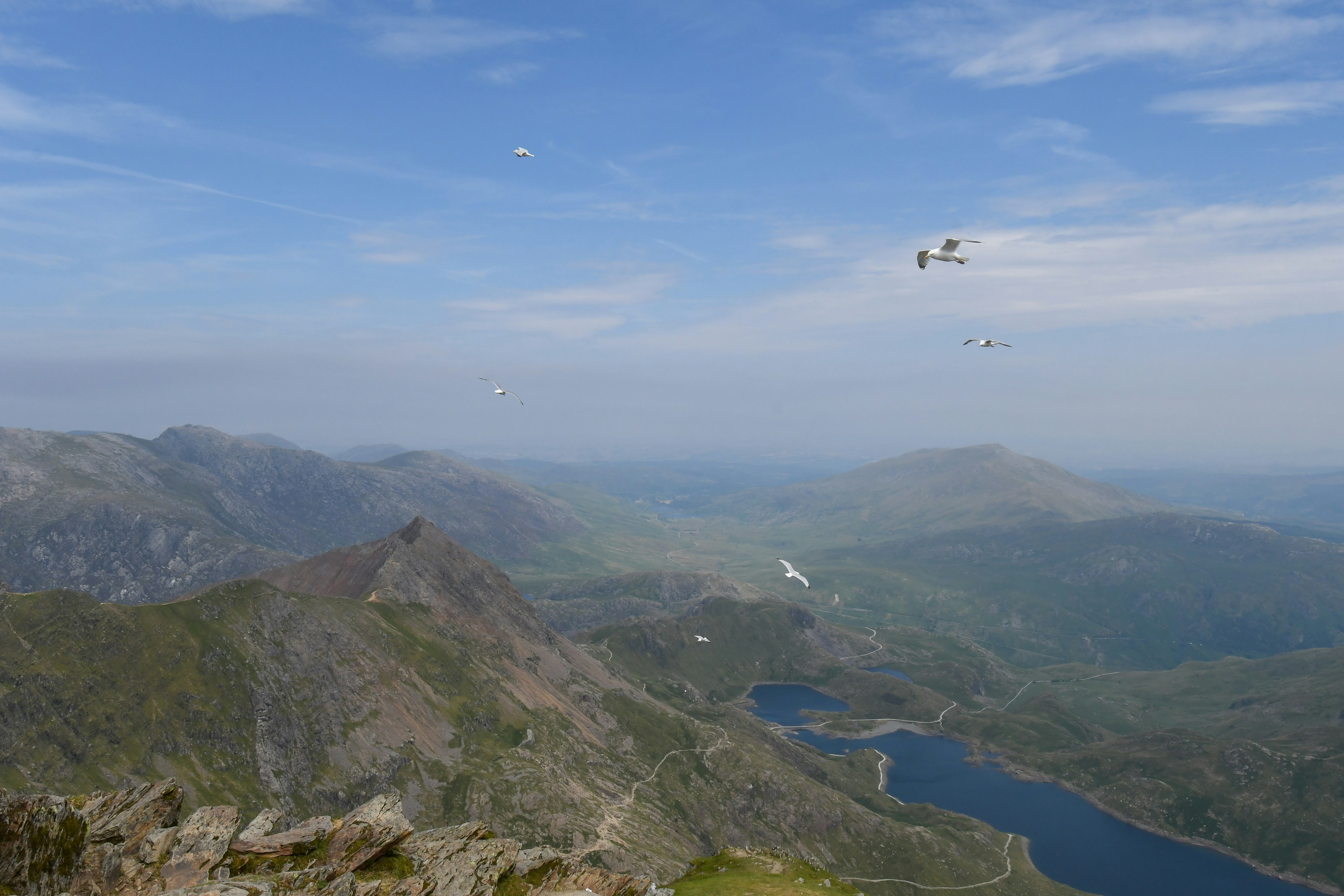 Highland Expanse with Soaring Seabirds Over Mountain Lakes