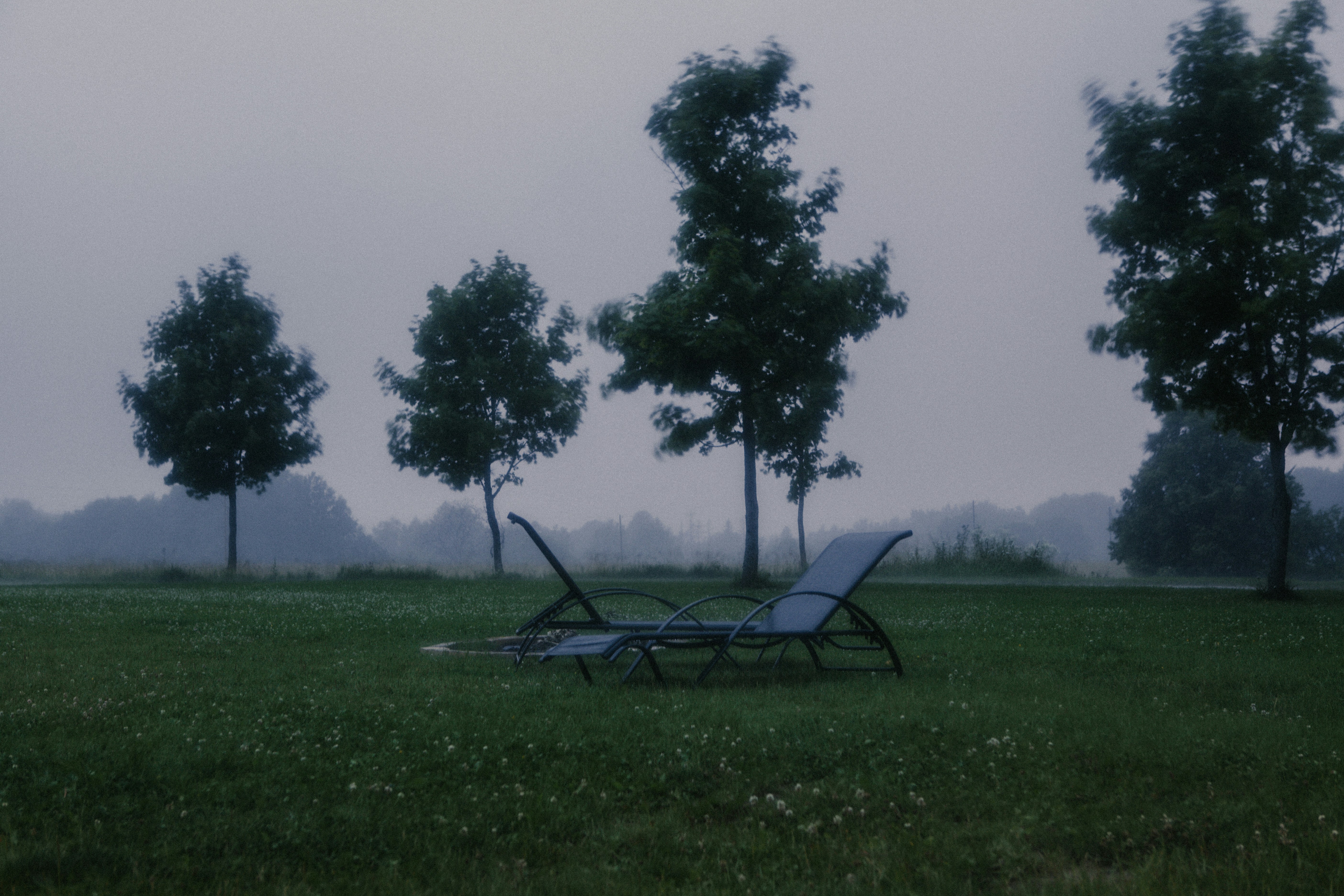 Misty Lawn with Reclining Loungers Under Quiet Trees