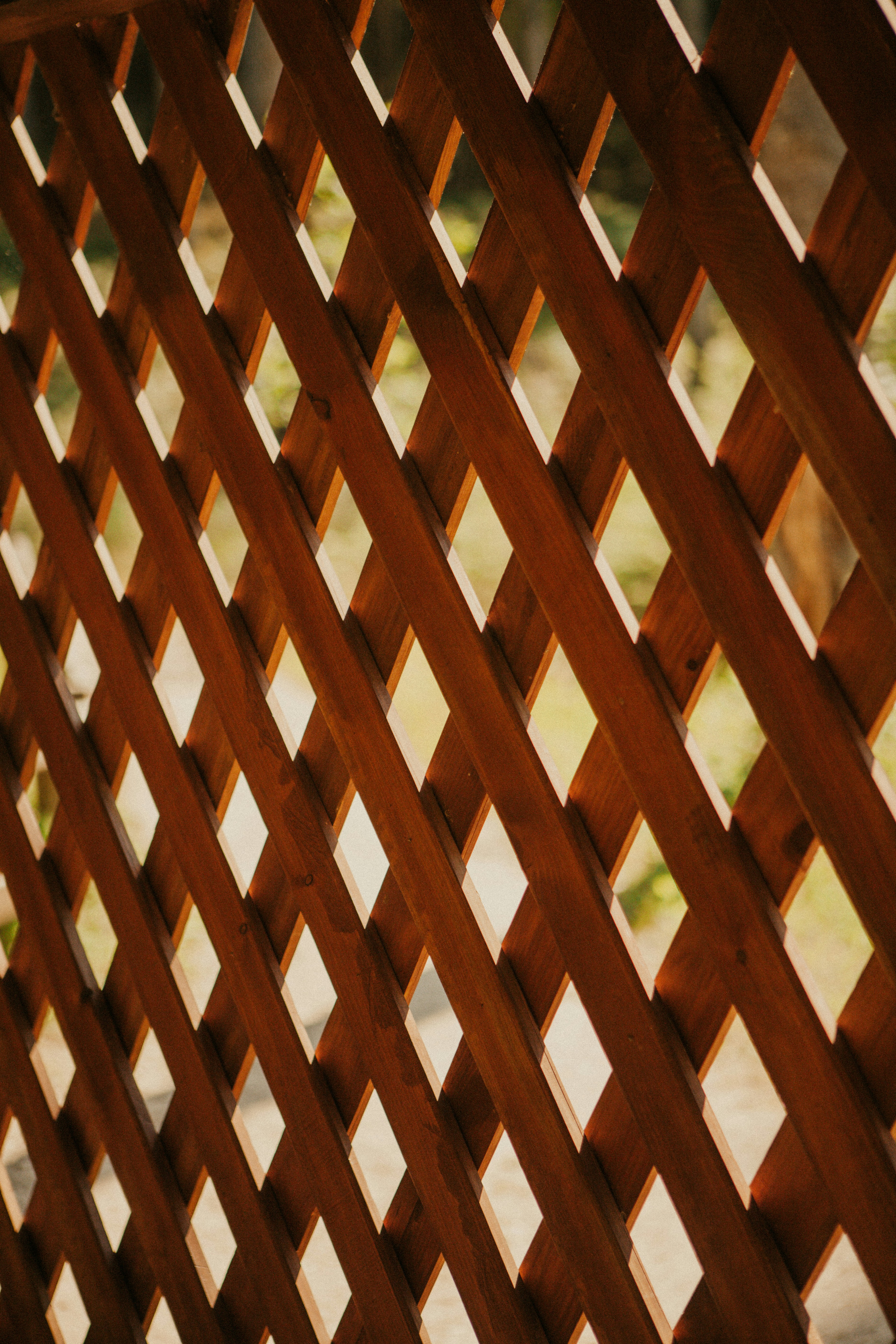 Crisscross of Warm Timber: A Linden Lattice in Golden Light