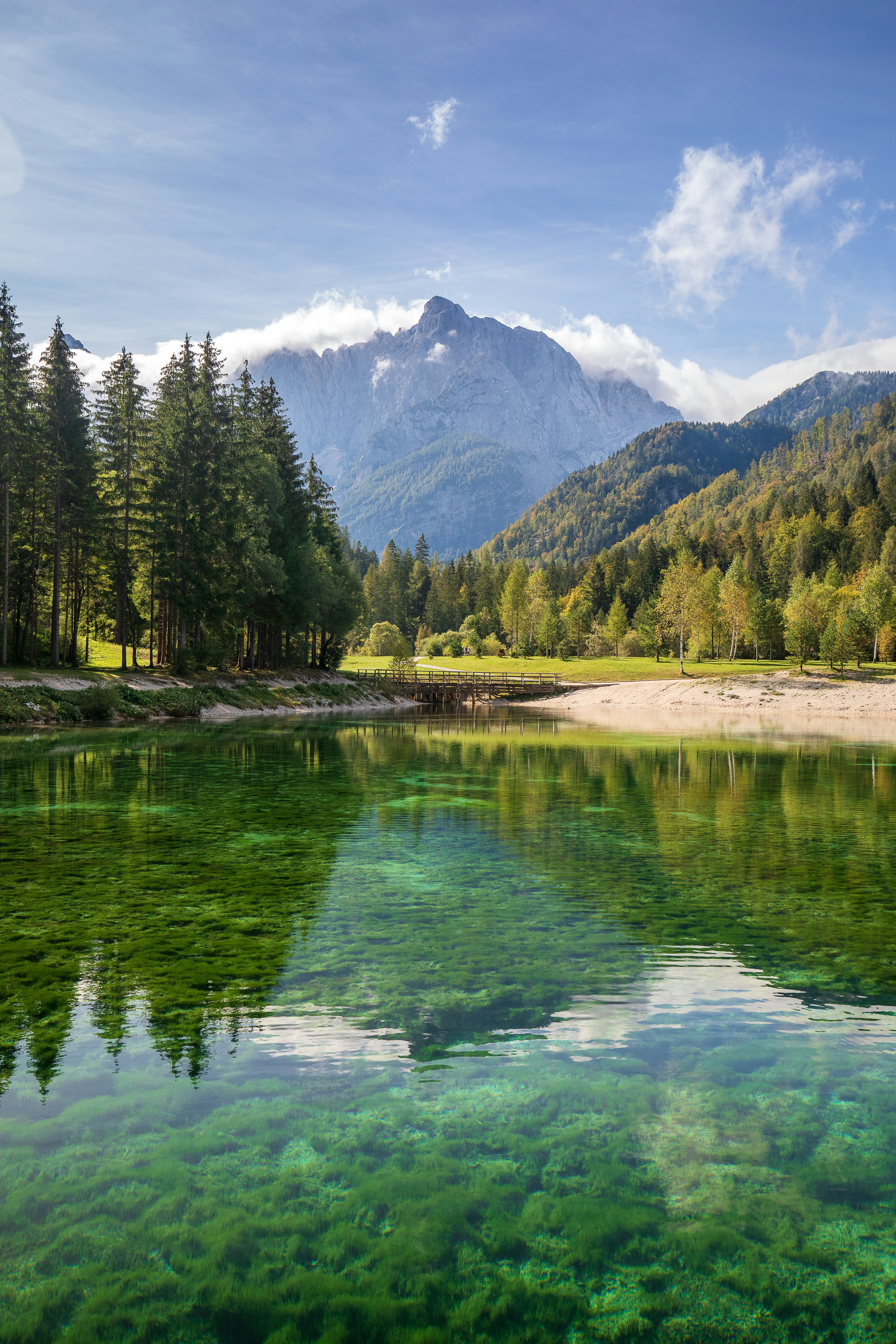 Emerald Mirror: A Mountain Lake Reflecting Pine Shadows