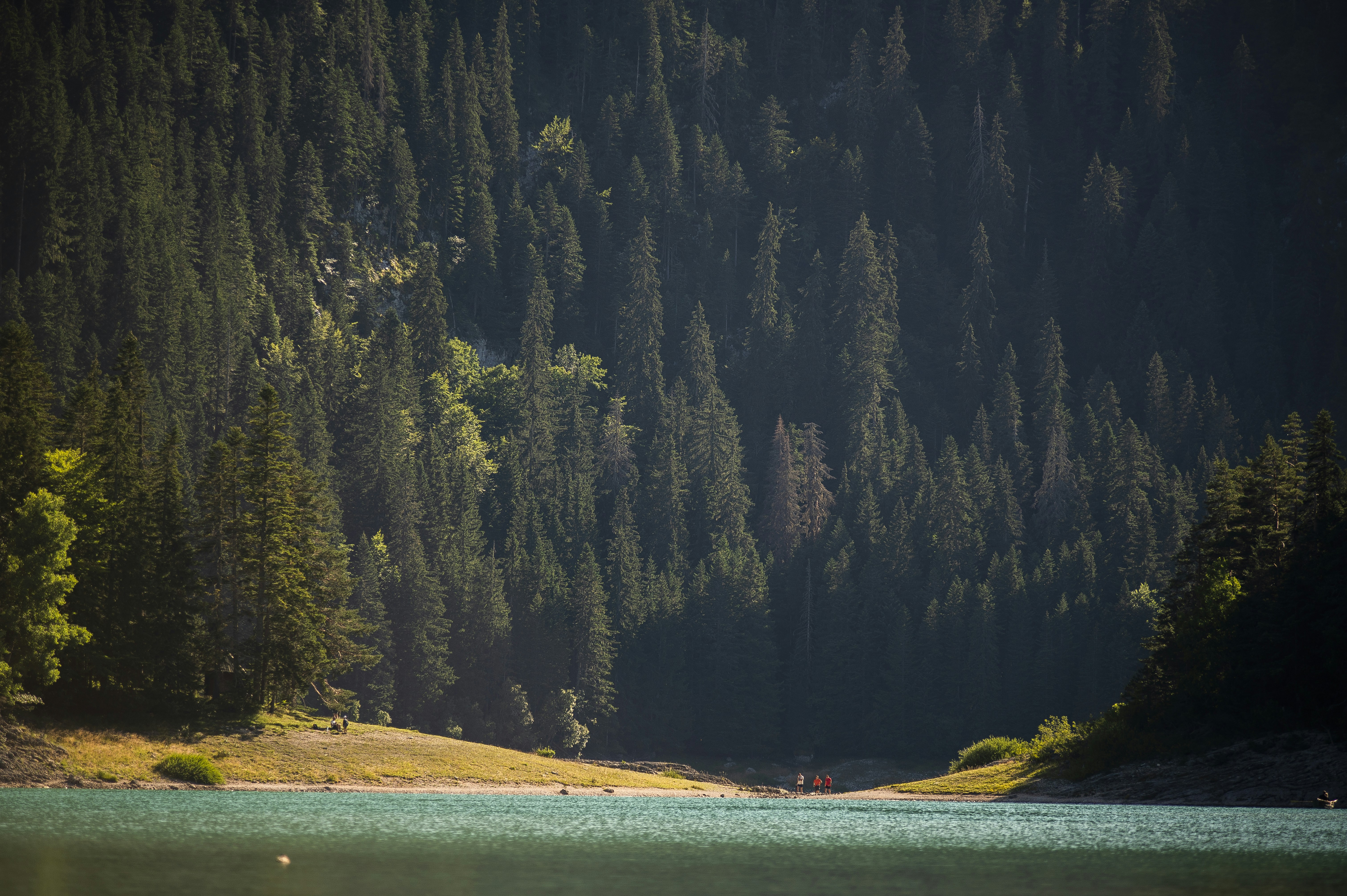 Emerald Lake Gap: Light on the Forested Rim