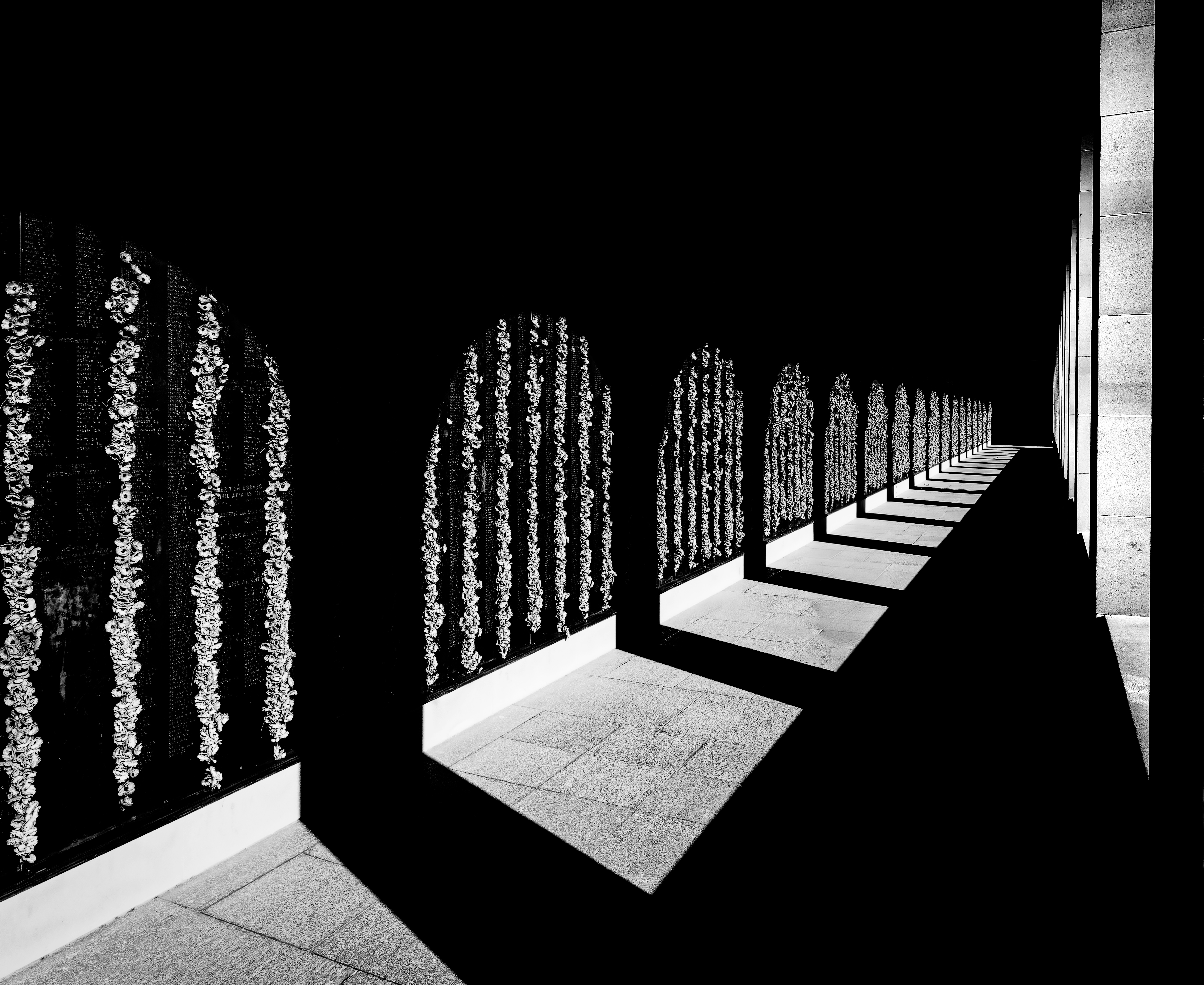 Photo by Warren Griffiths with Fujifilm X-T5