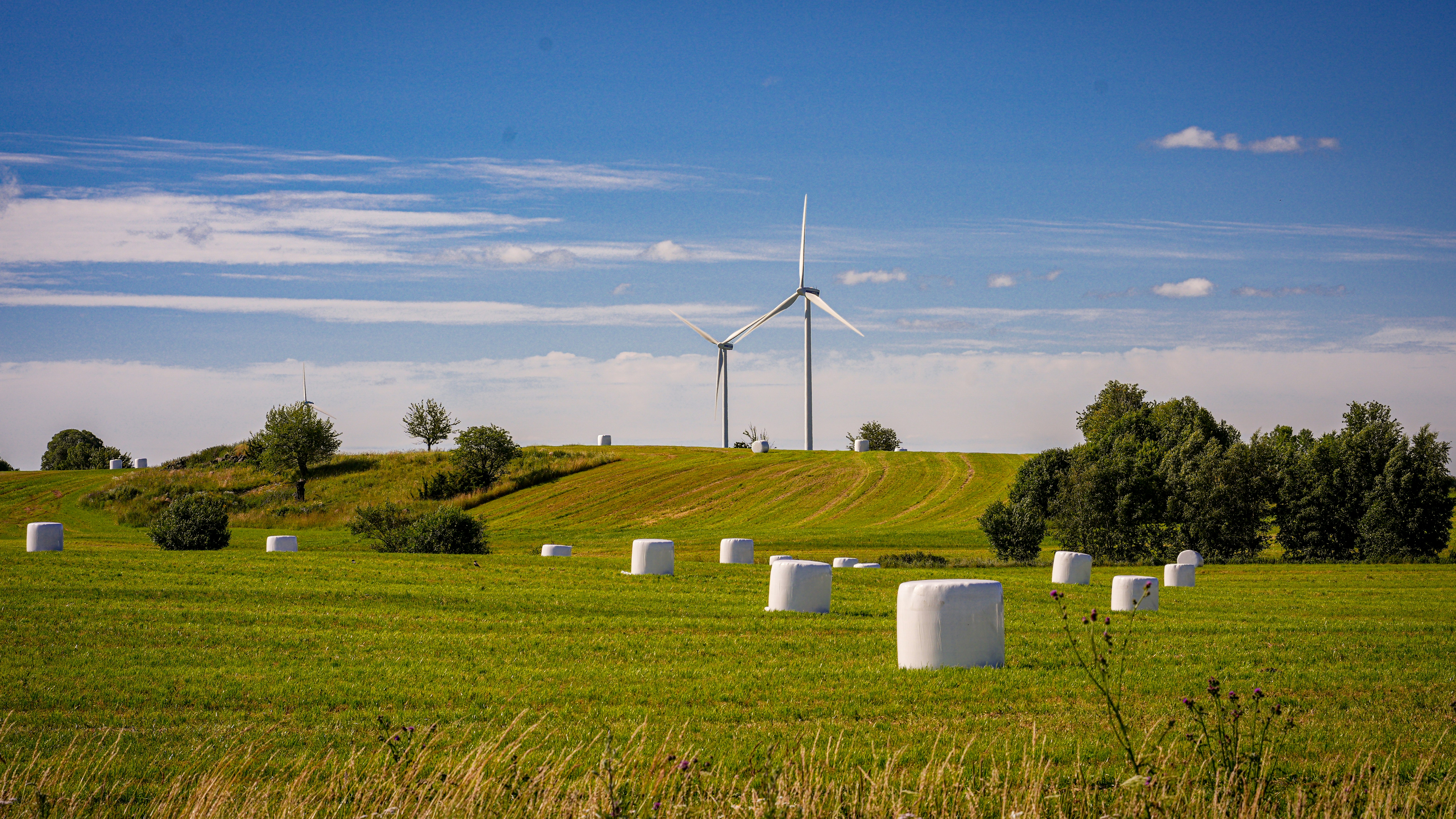 Windmill Serenity Over Rolling Hayfields