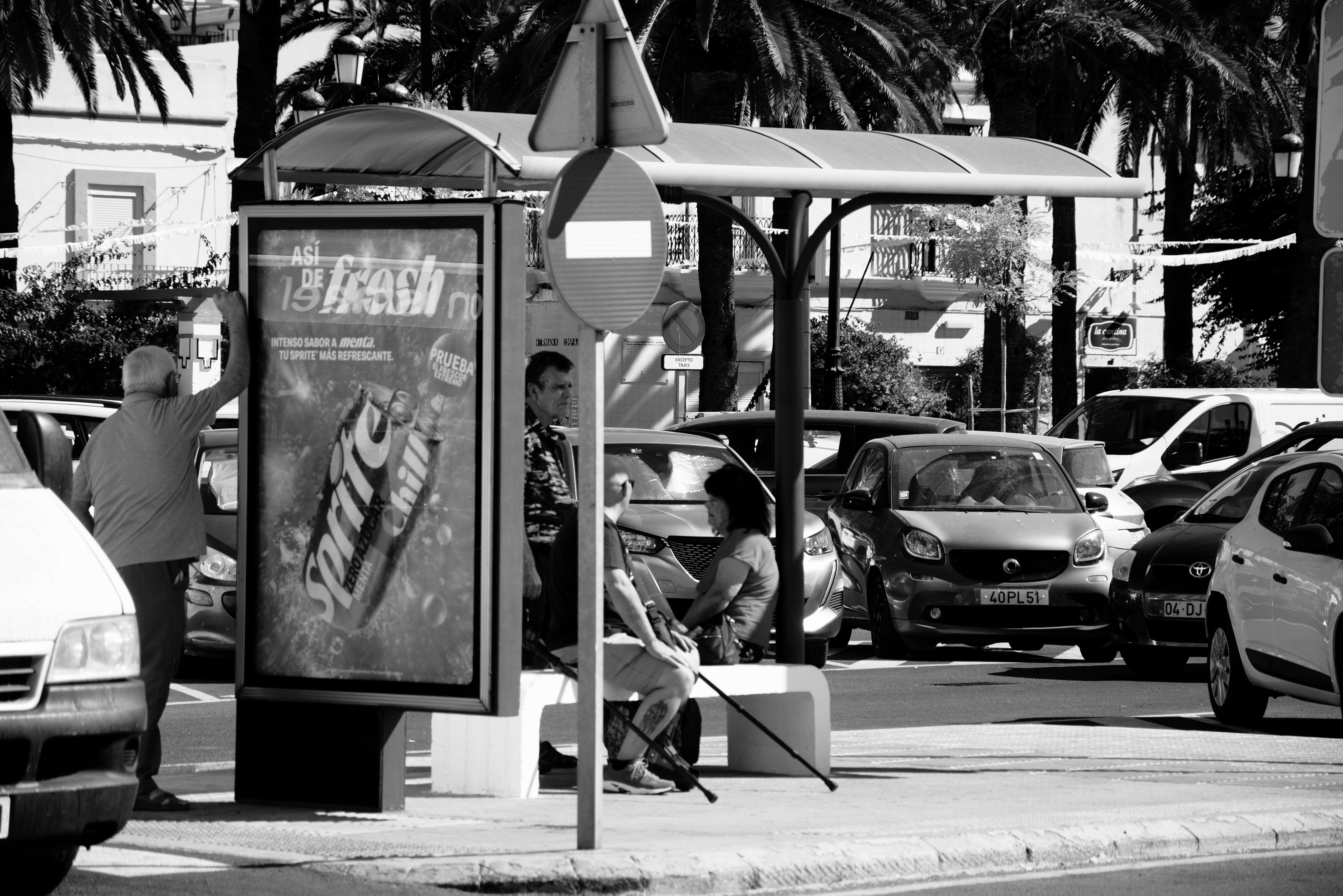 Waiting at the Bus Stop: Quiet Urban Perch