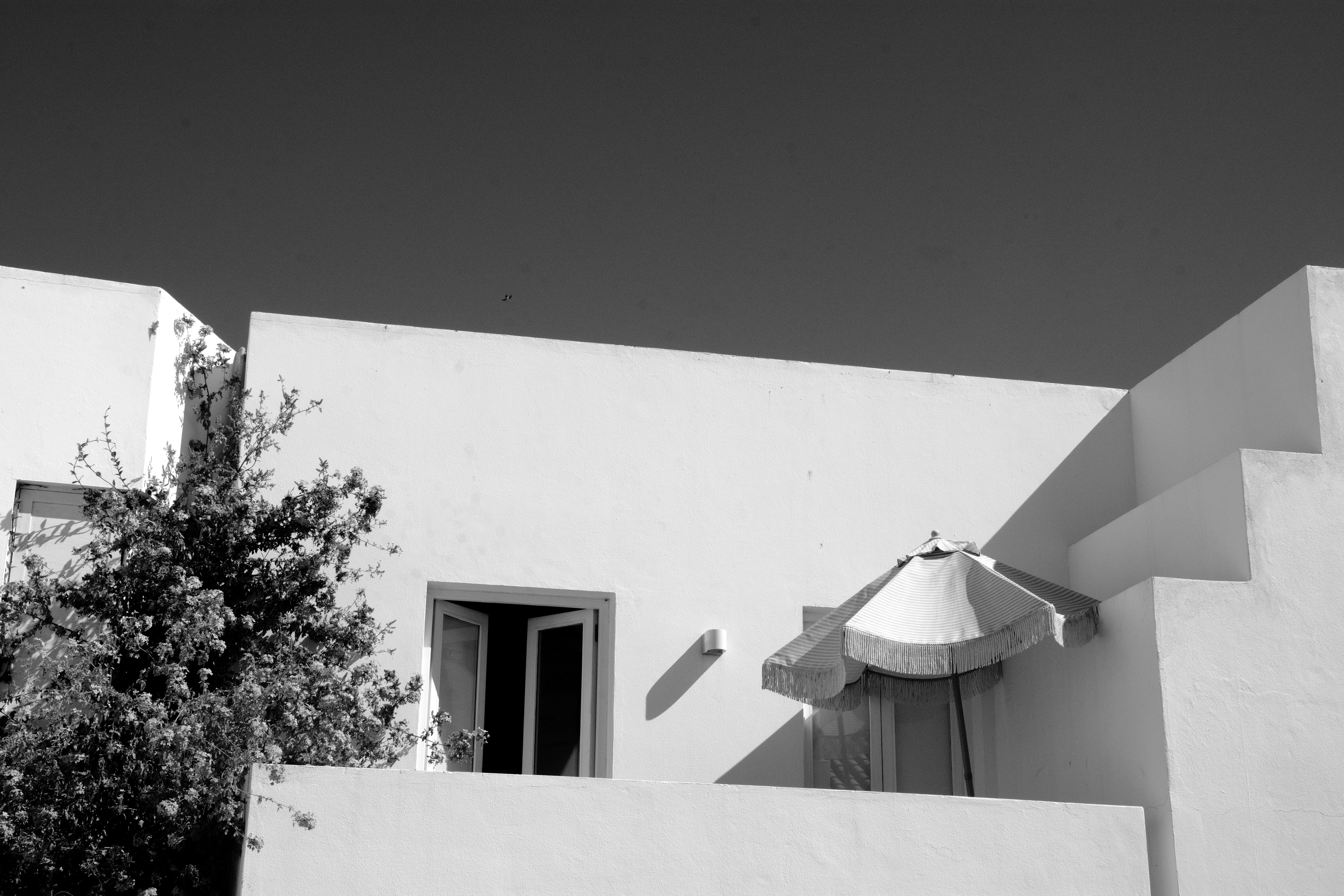 Arid White Geometry under a Quiet Sky