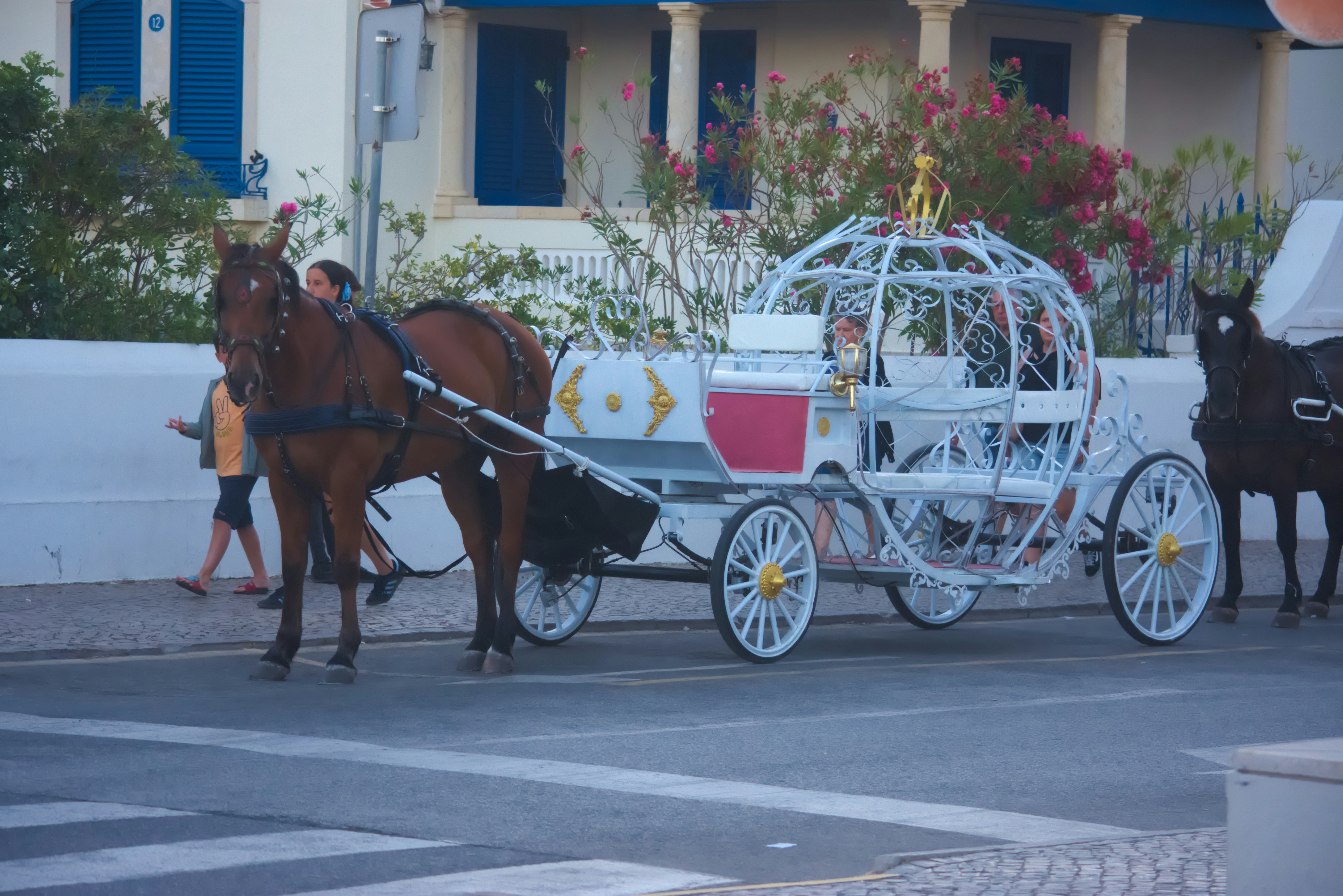 Equestrian carriage at a sunlit Mediterranean street