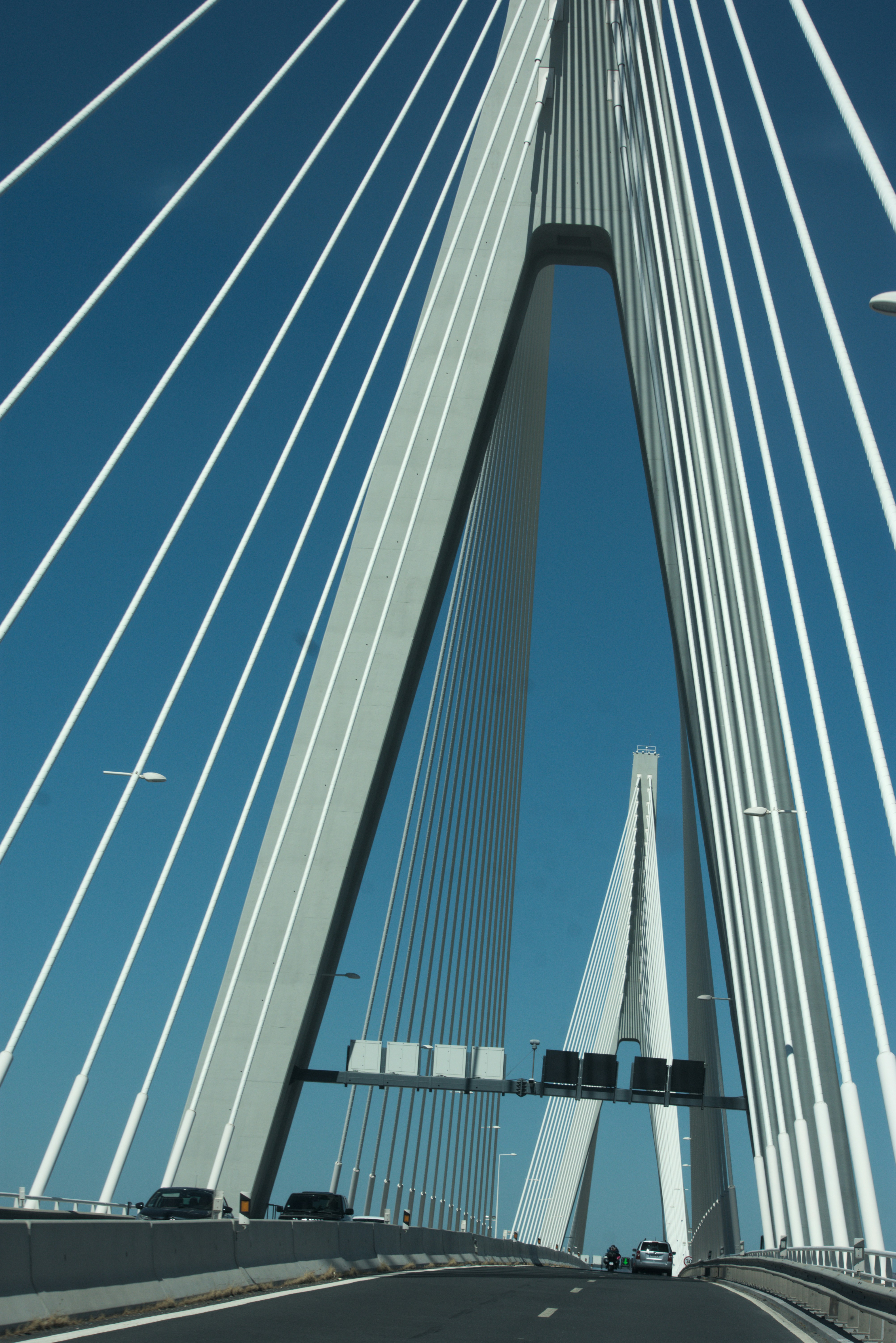 Cables in Flight: A Blue Steel Bridge Soars Above the Road