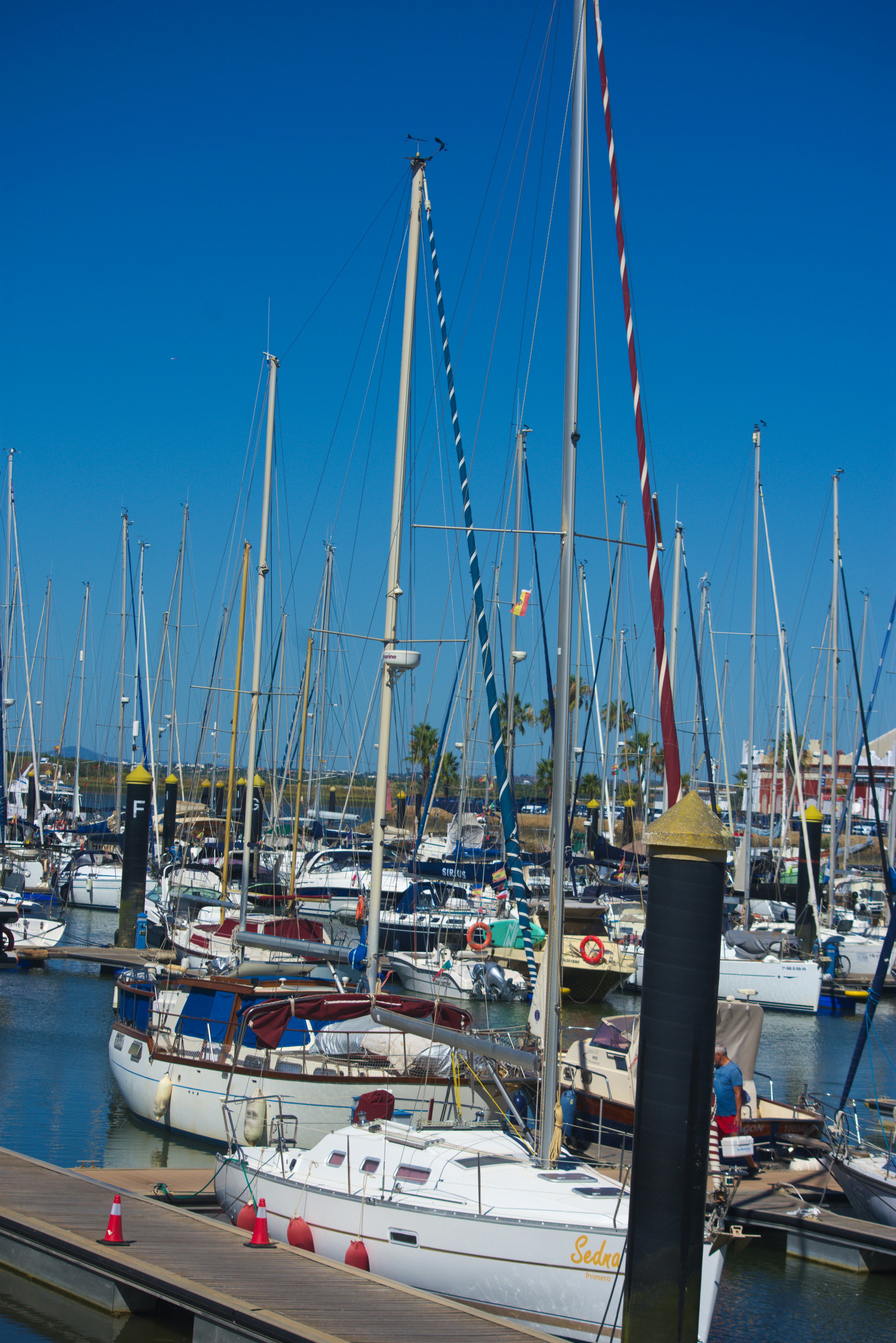 Sailing Silence: A Cove of Masts and Quiet Blue
