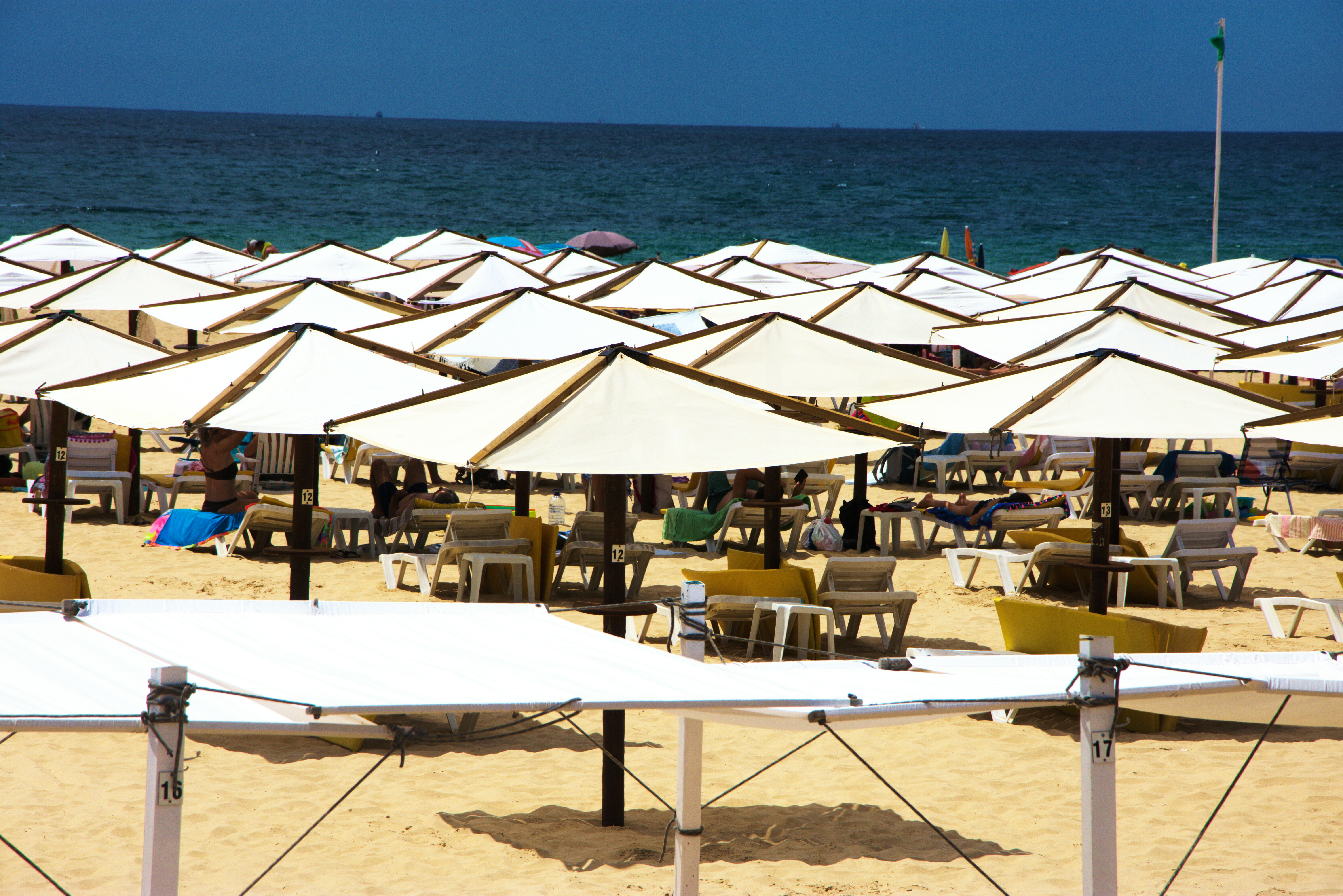 Sunlit Beach Grid: Rows of Umbrellas Meet the Quiet Sea