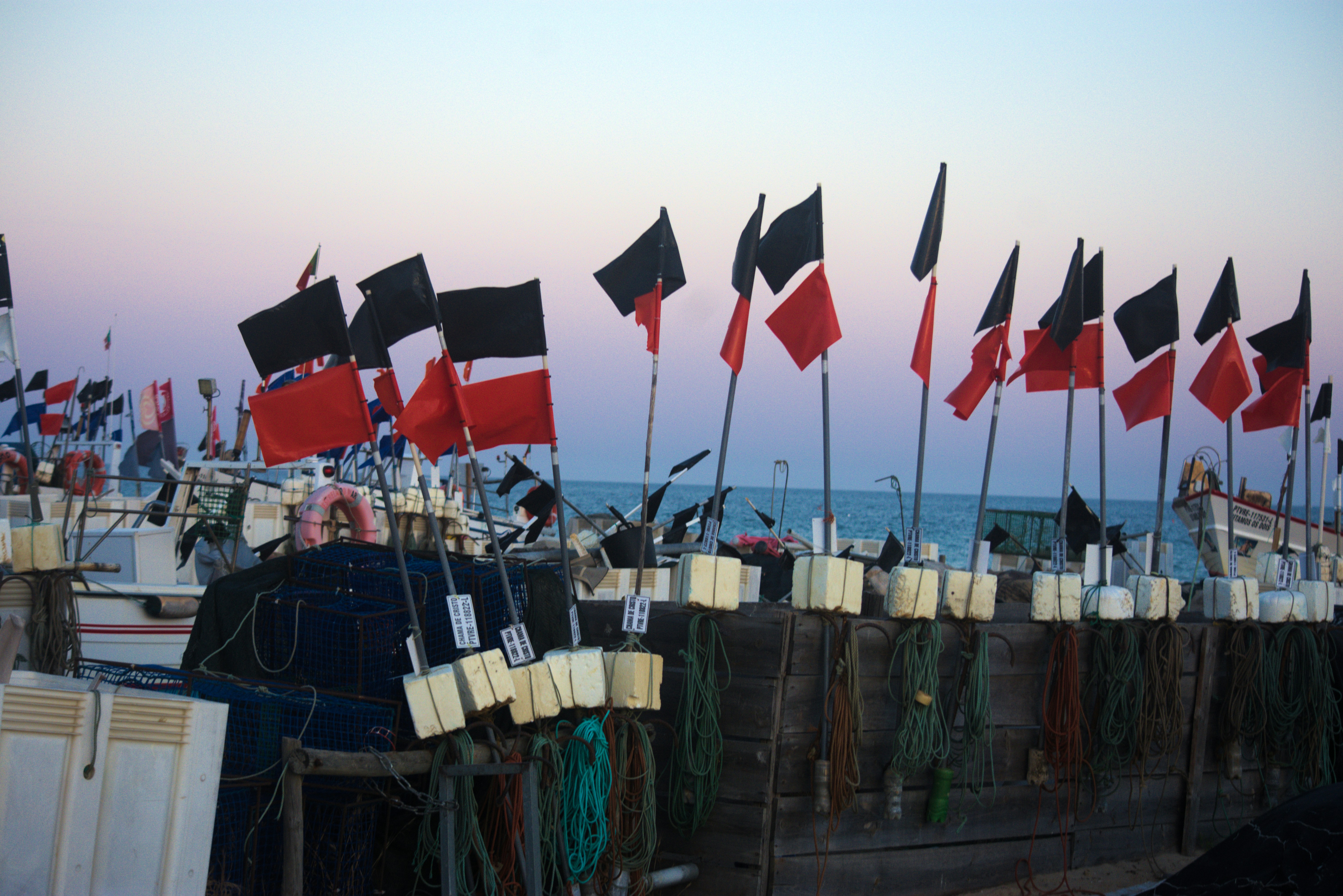 Flags at Dusk: A Fleet of Maritime Hopes