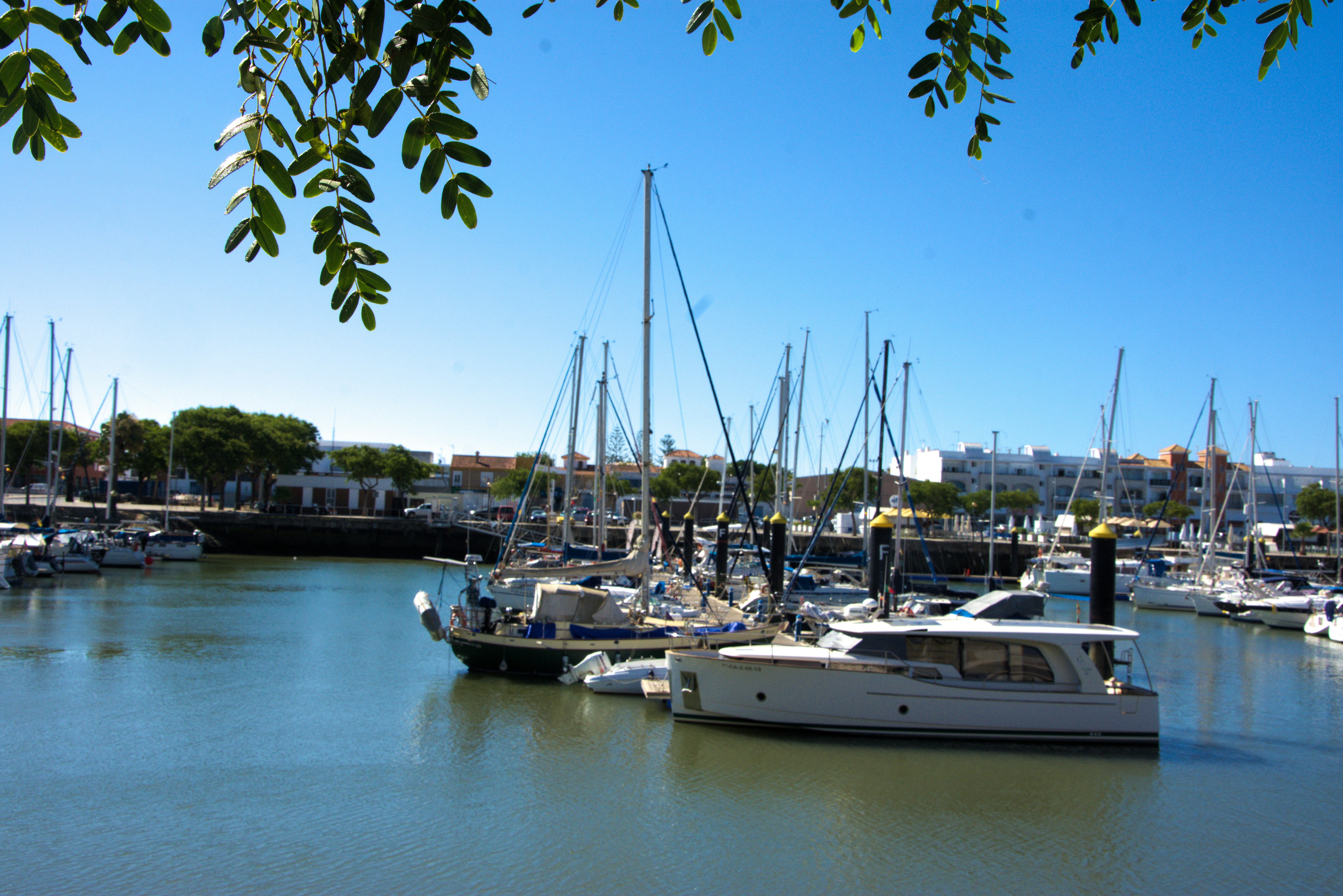 Sailboats Rest at Dusk: Quiet Harbor Vista