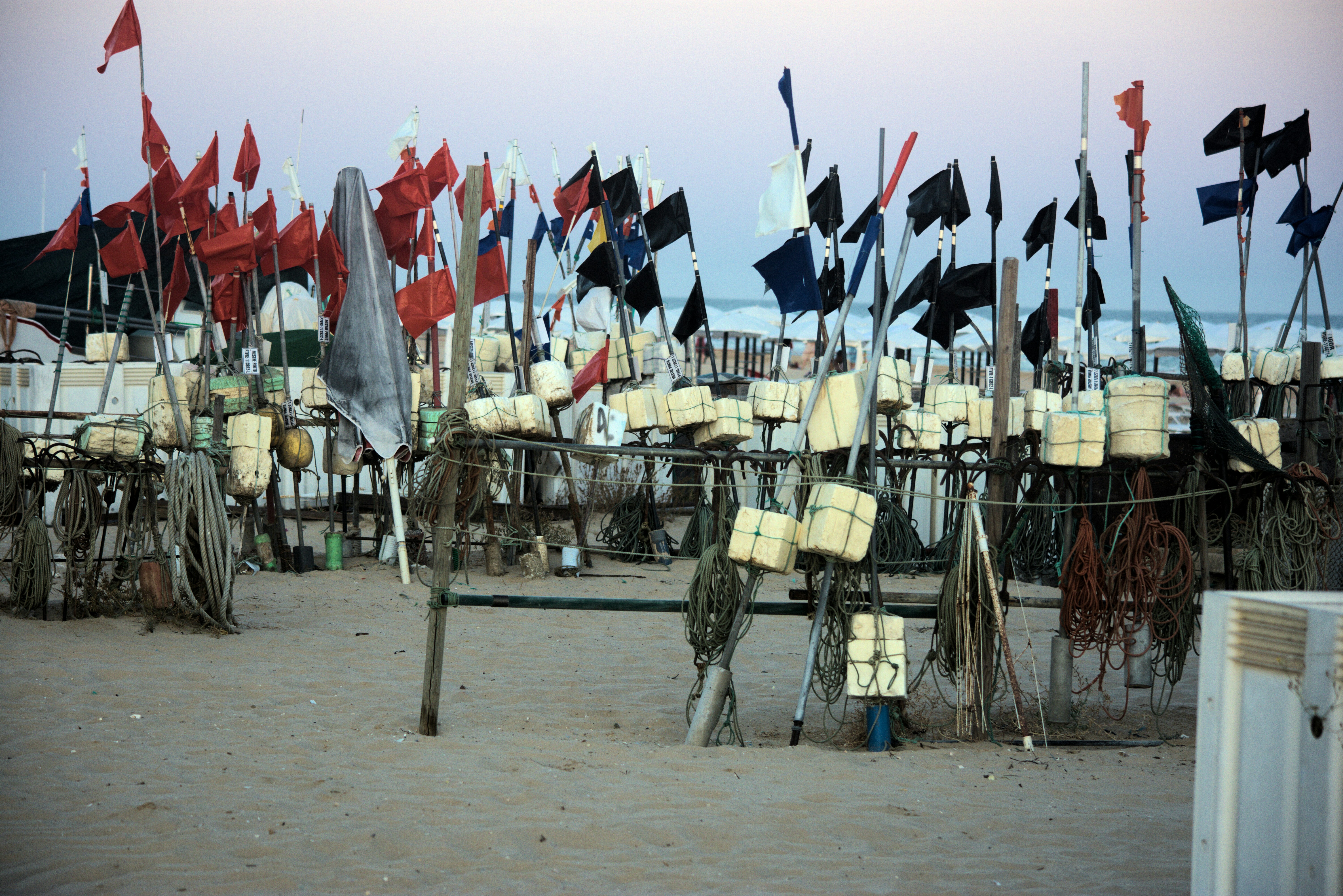 Flags over the Beach: A Sea of Signals by the Dunes