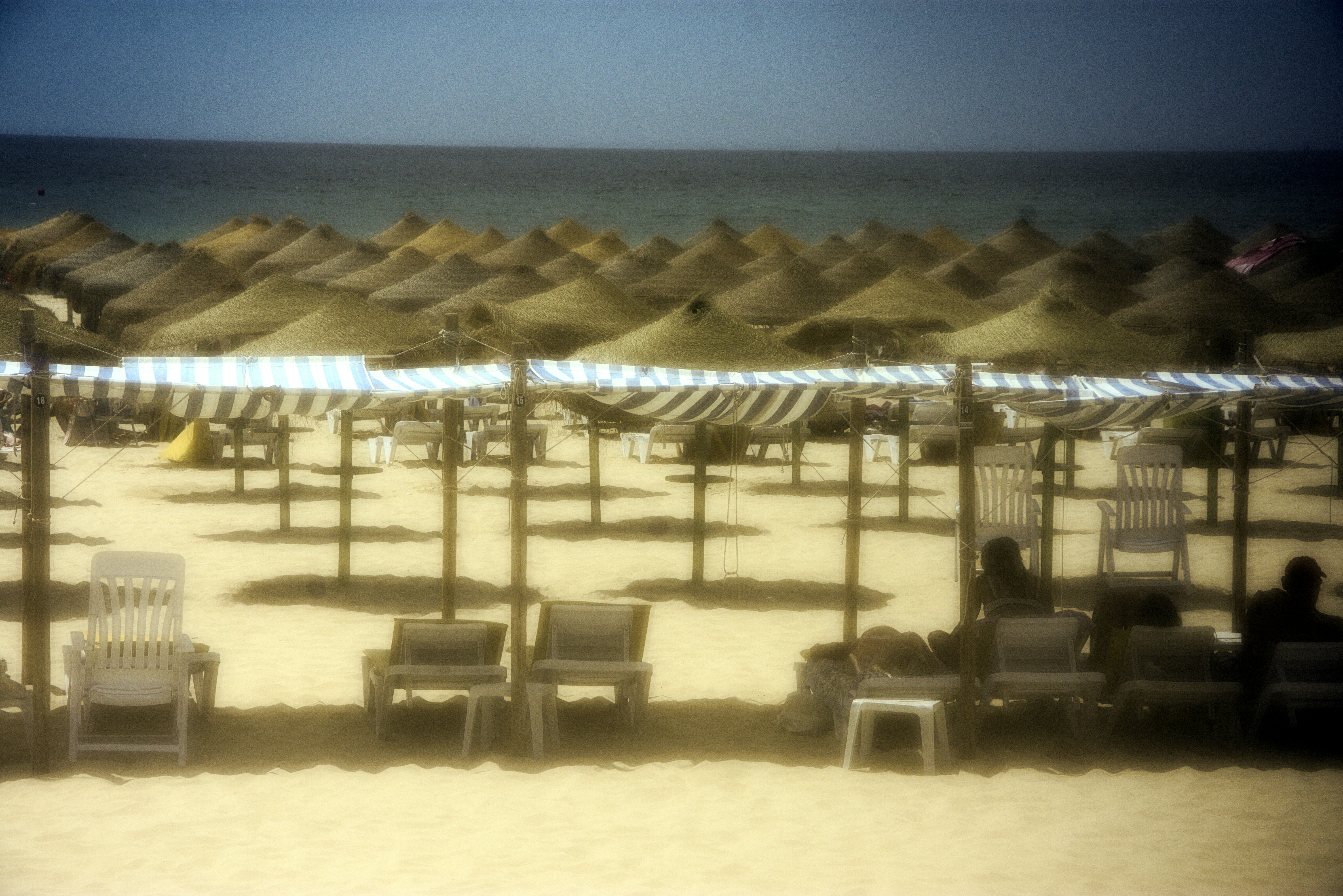 Sunlit Rows of Seaside Umbrellas and Loungers