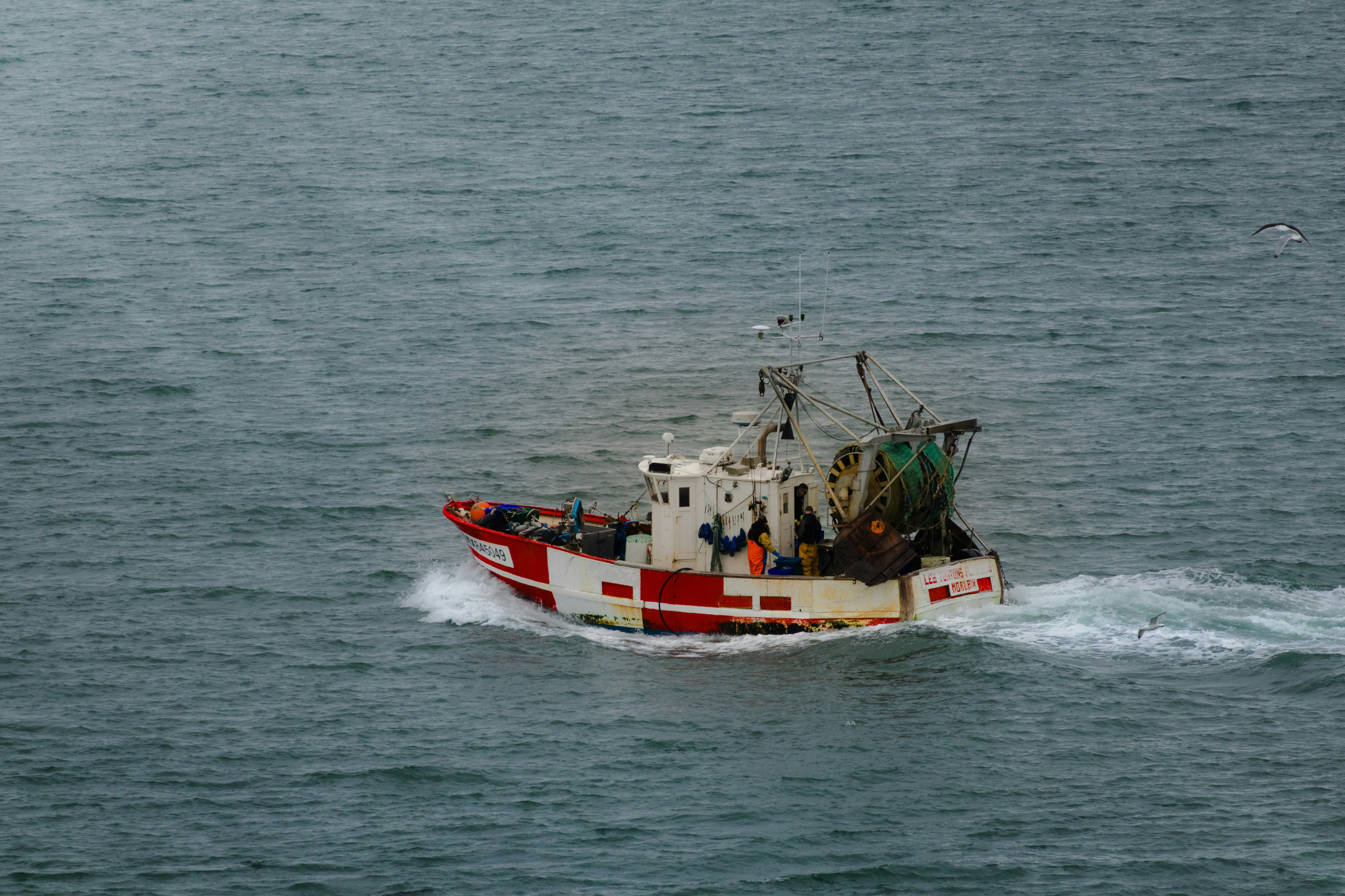 Red-and-white Fishing Vessel Cutting White Wake Across Open Sea
