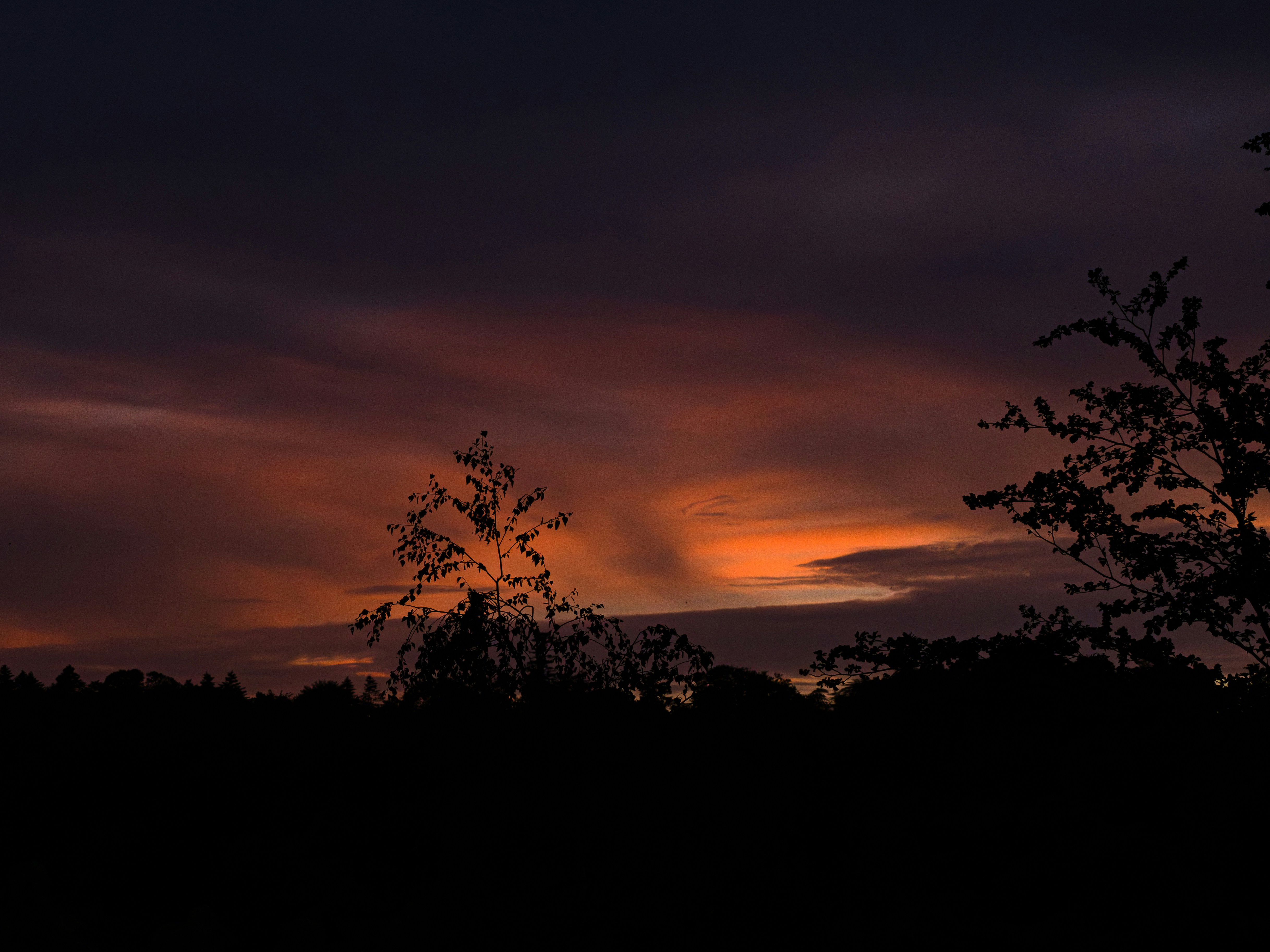 Twilight Edge: Silhouetted Trees Against a Fiery Horizon