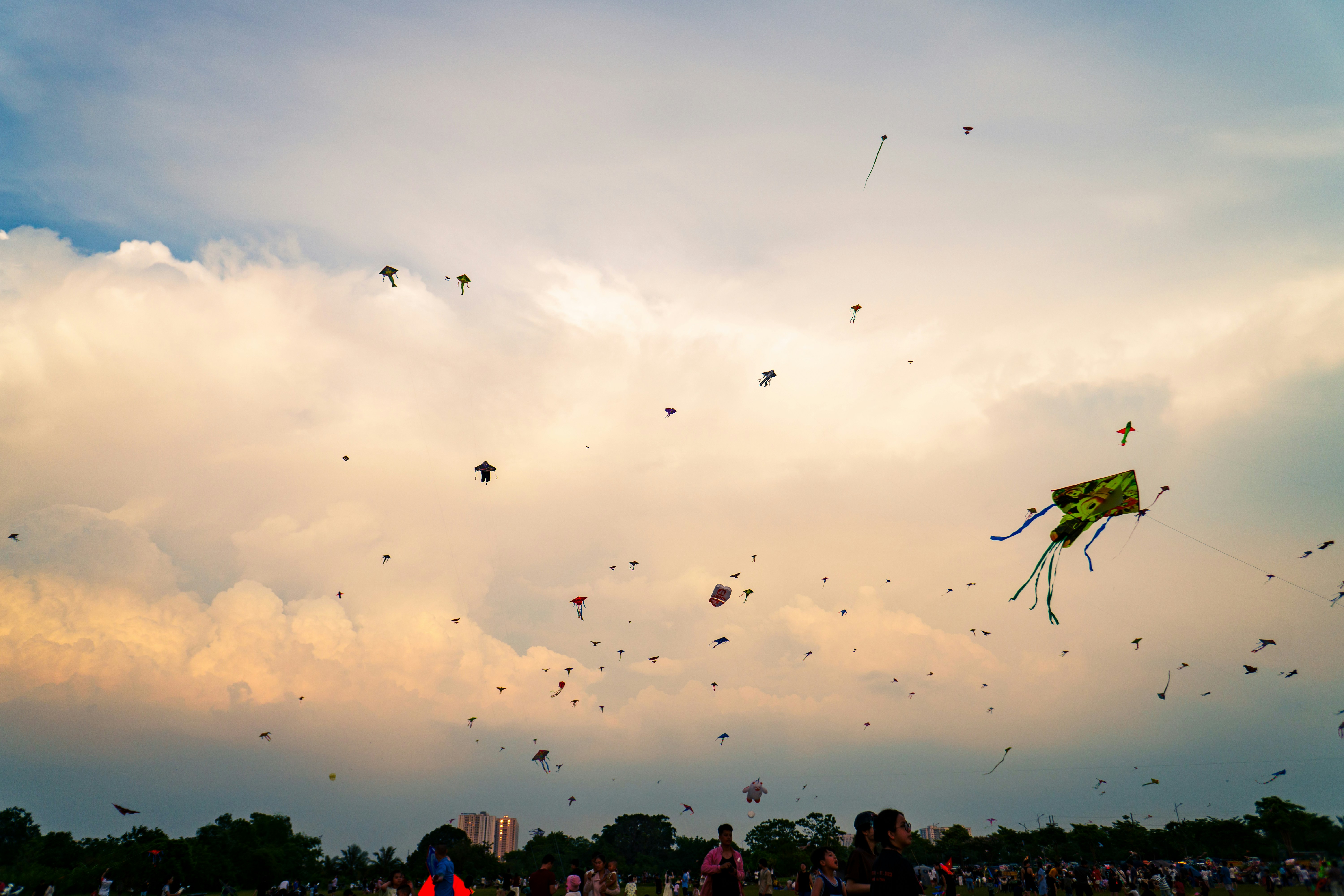 Kite Parade Over Dusk Sky