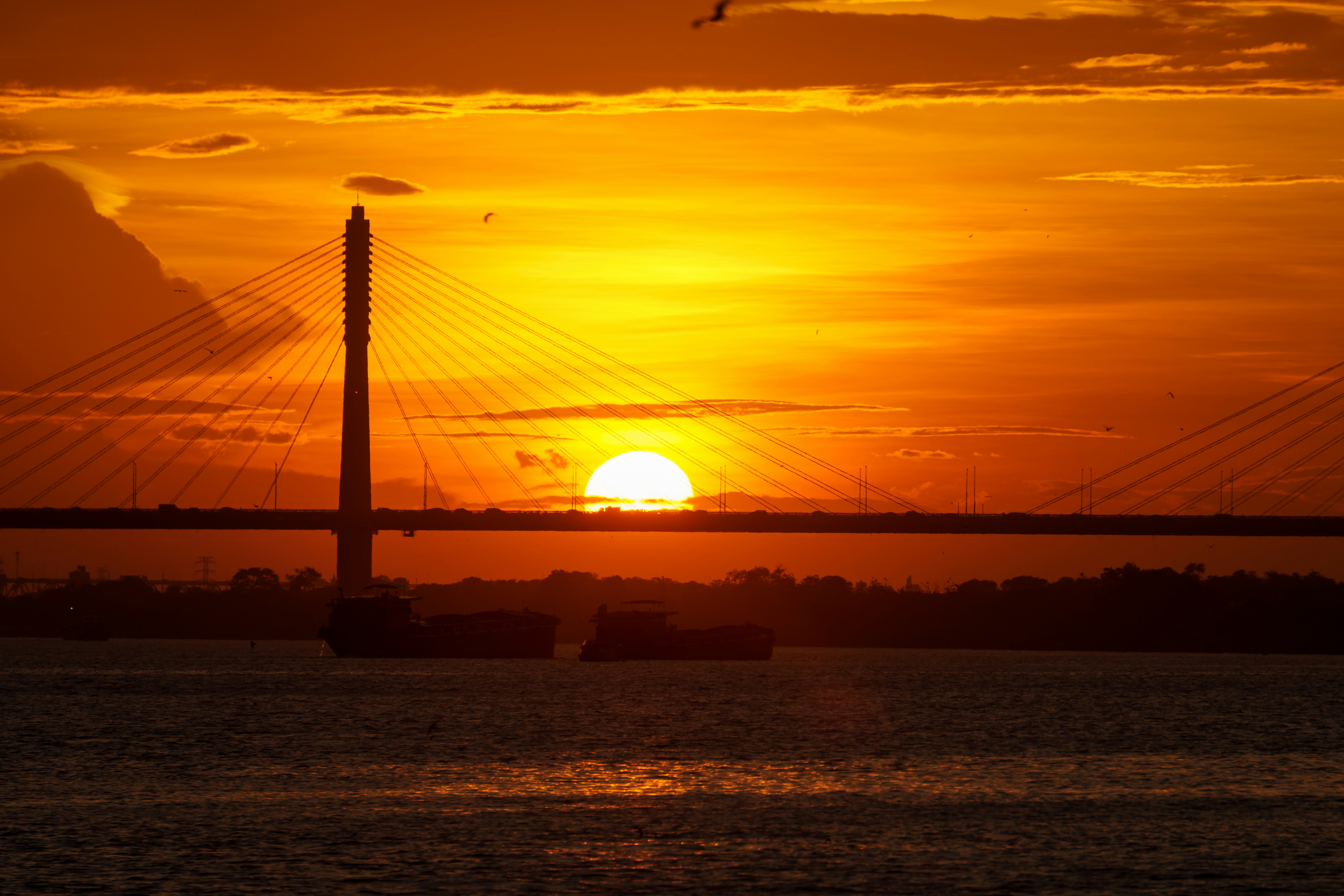 Sunset Over the Cable-Stayed Horizon