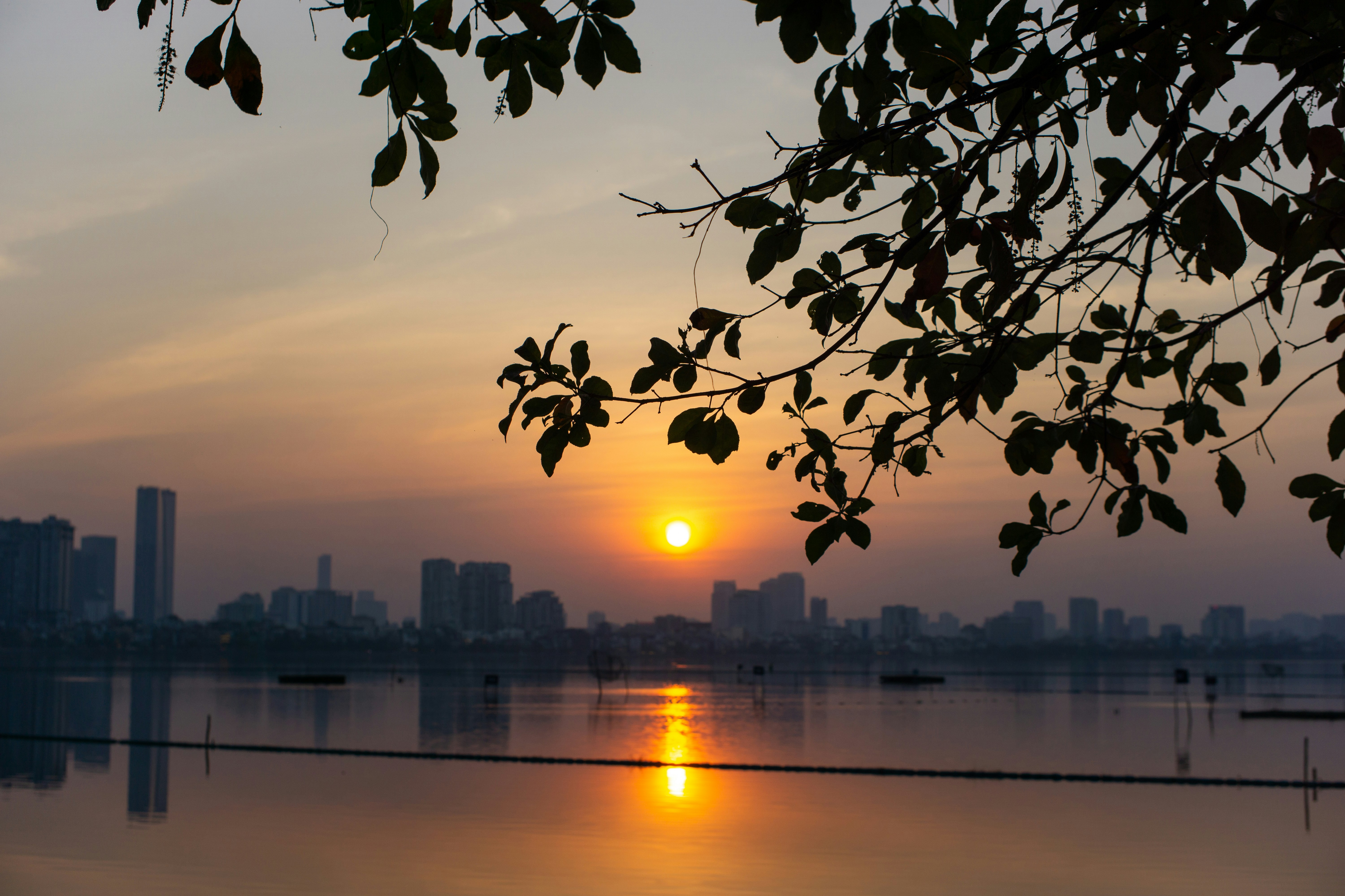 Sunlit Horizon: Echoes of a Quiet River at Dusk