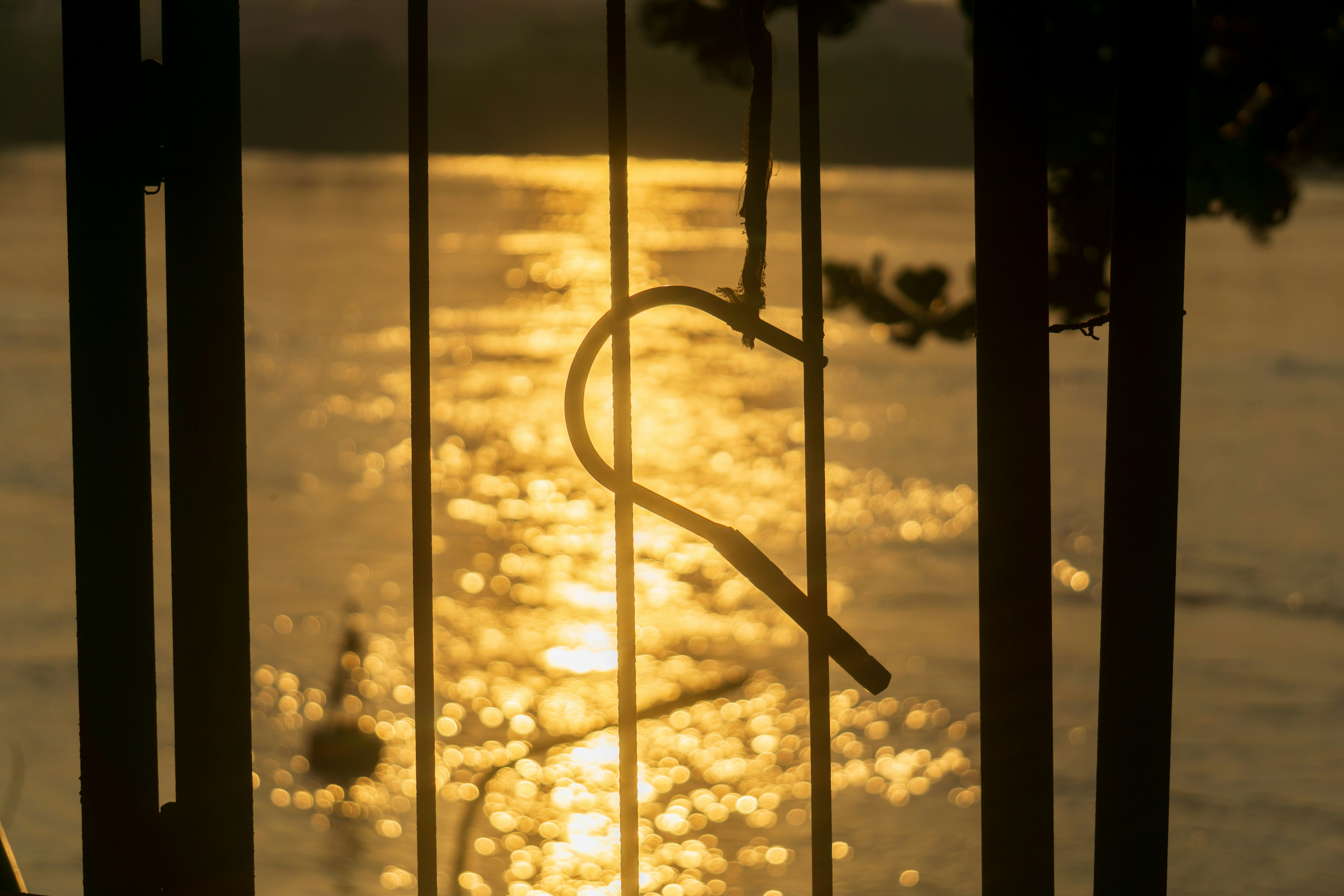 Sunset Veil Through the Bars