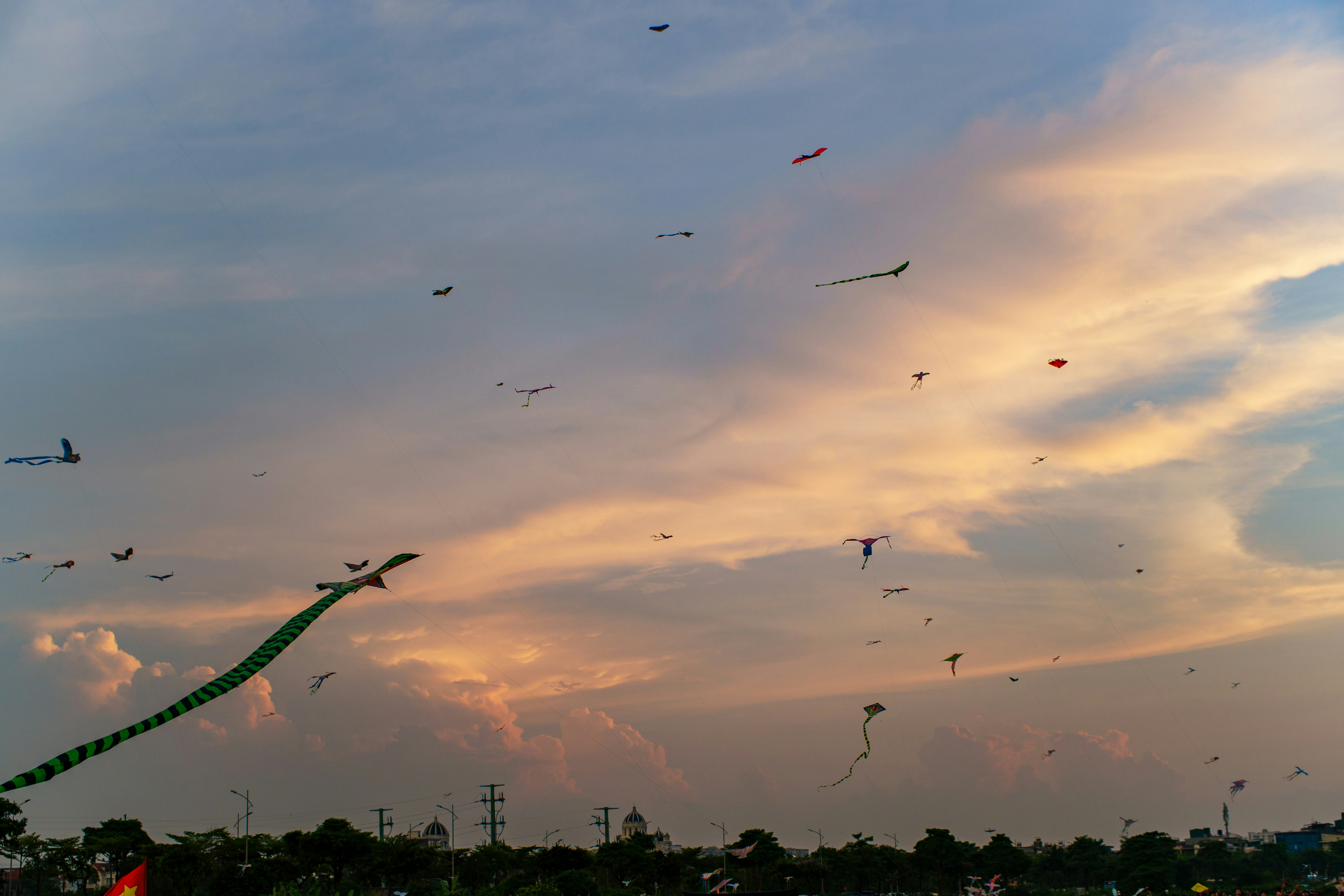 Kites in the Dusk: A Calm Sky Full of Flight
