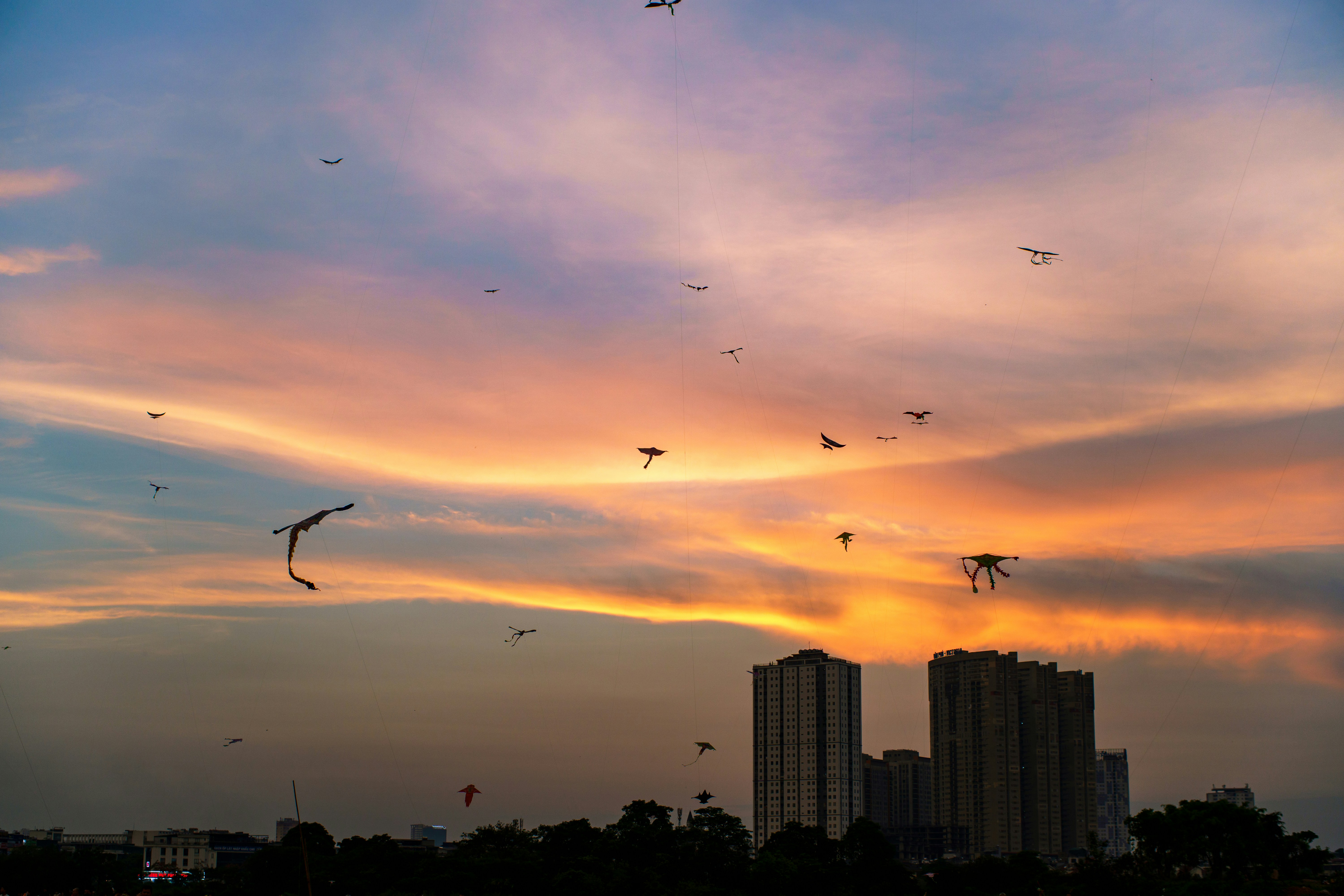 Sunset Birds Over the City: Silhouettes Against the Glowing Horizon