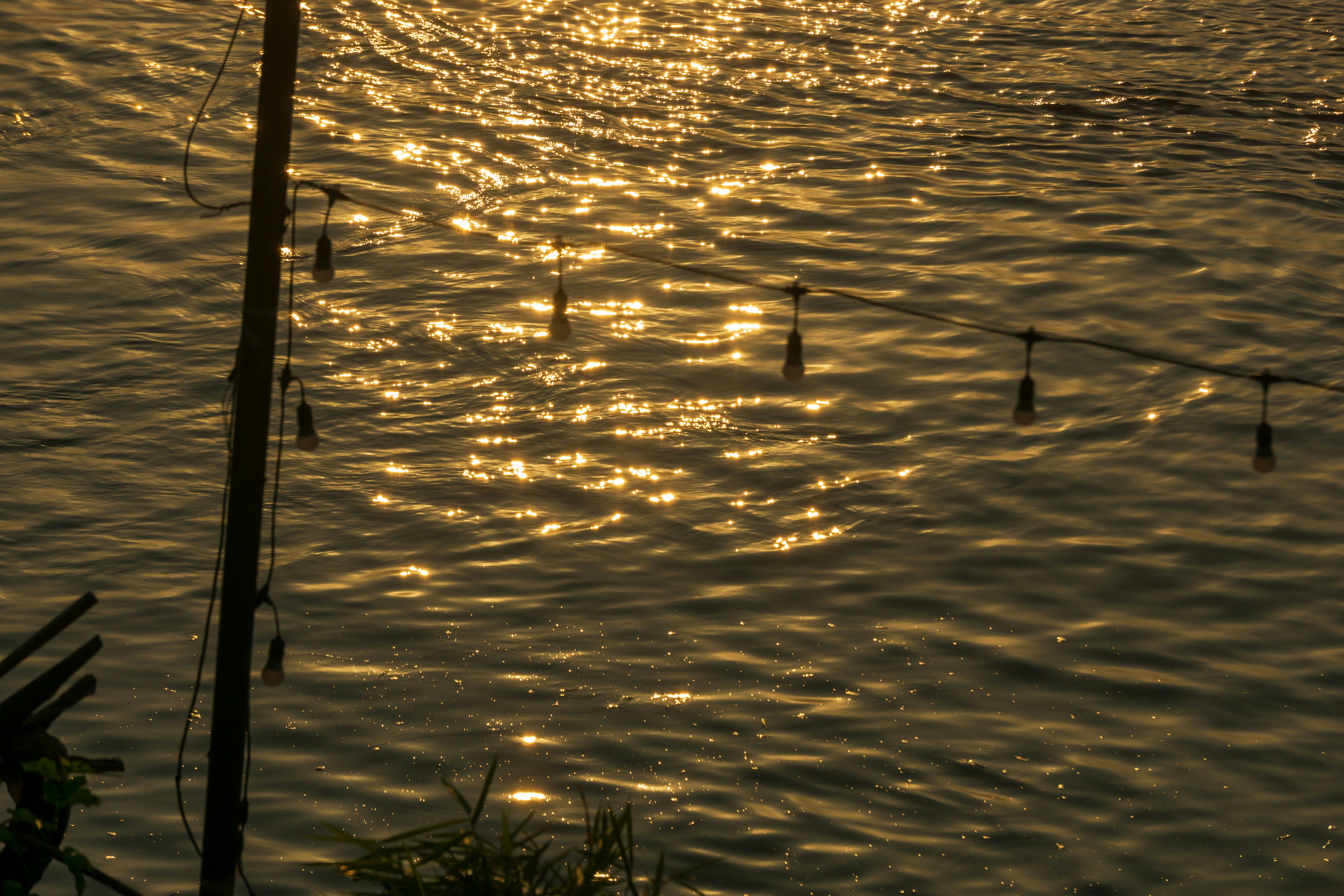 Glints on Tidal Silk: Evening Light on Water