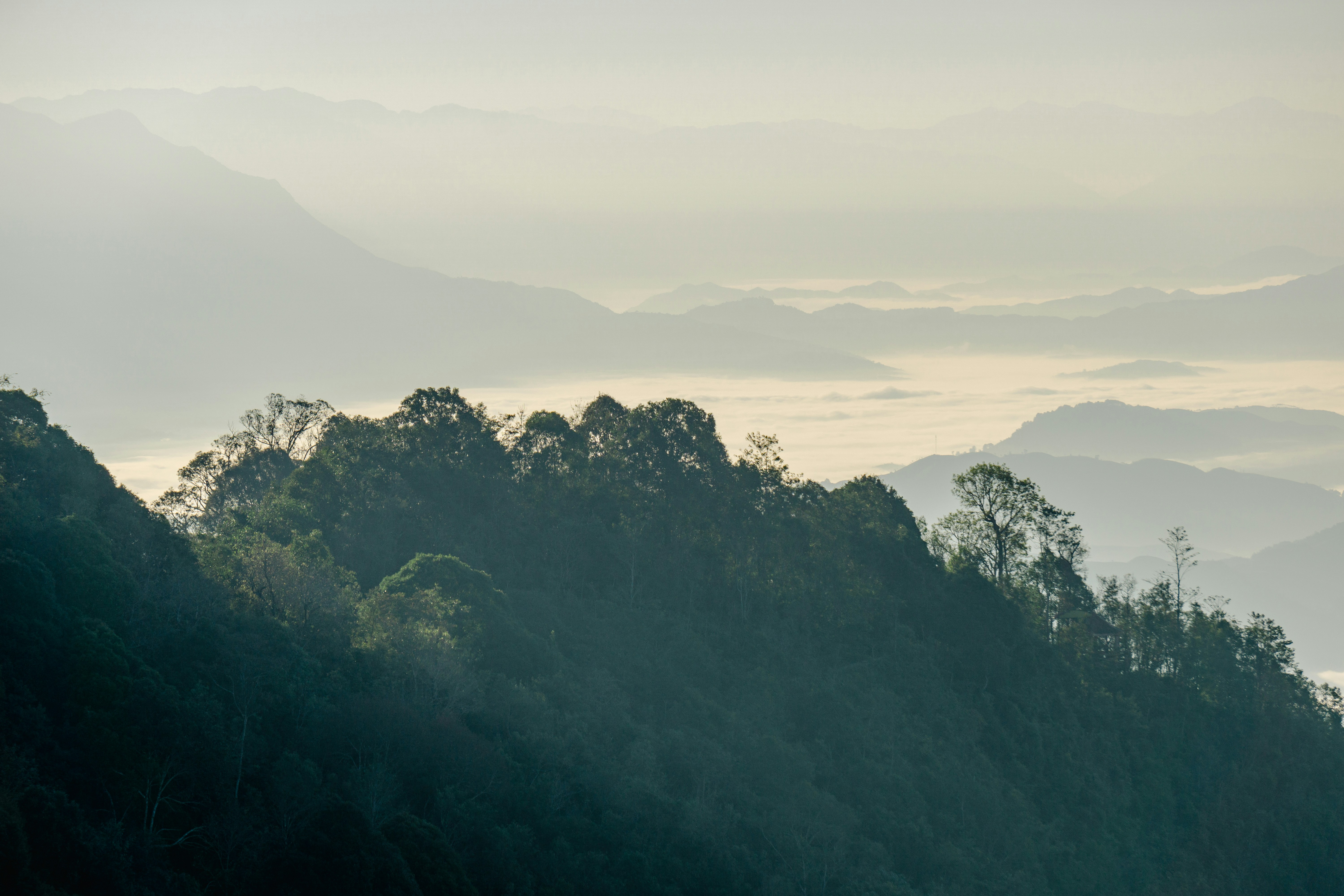 Mist Over the Ridge: Quiet Layers of Morning Mountains