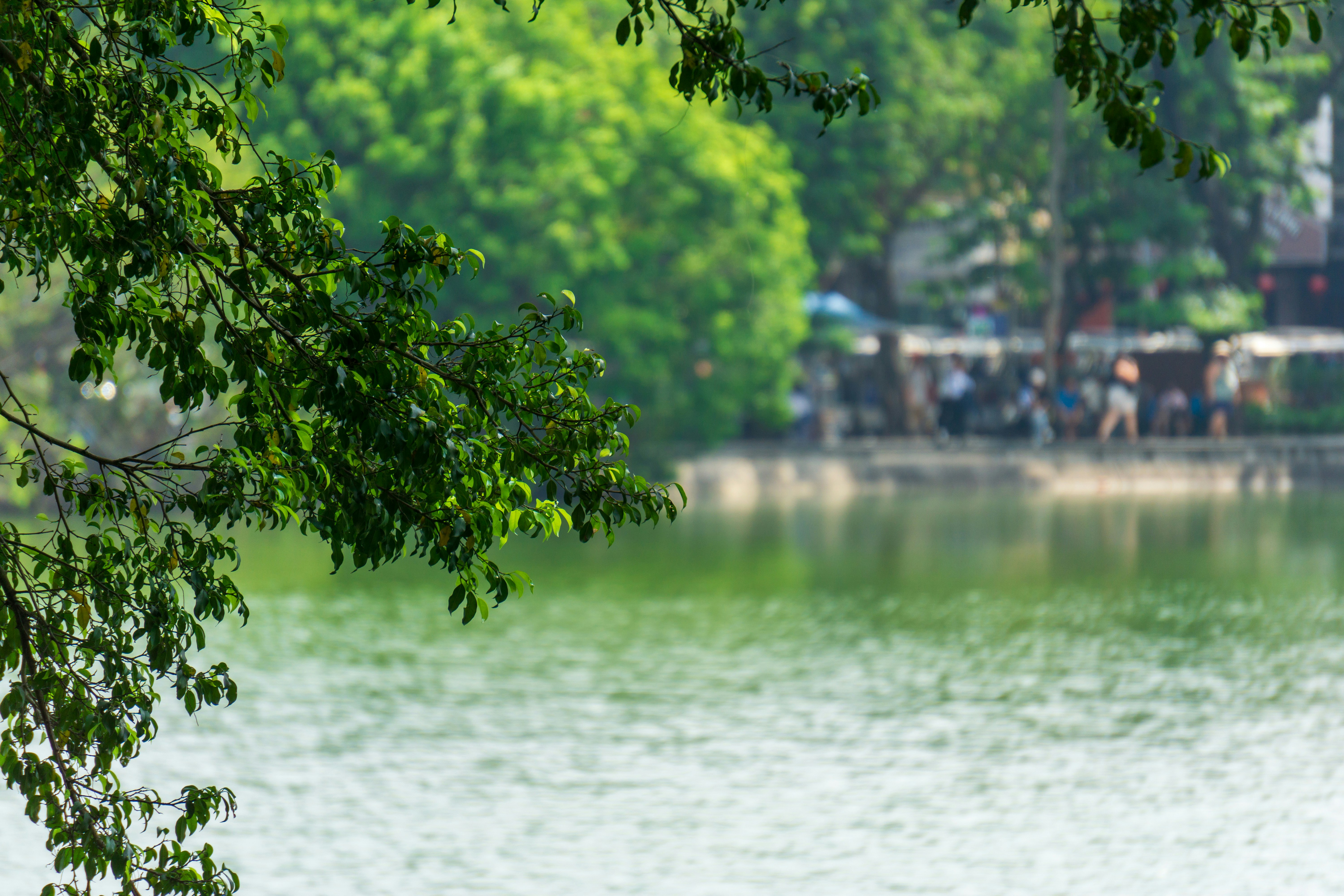 Sunlit lake with overhanging branches framing a distant riverside scene; soft bokeh keeps background figures indistinct and emphasizes foreground foliage.