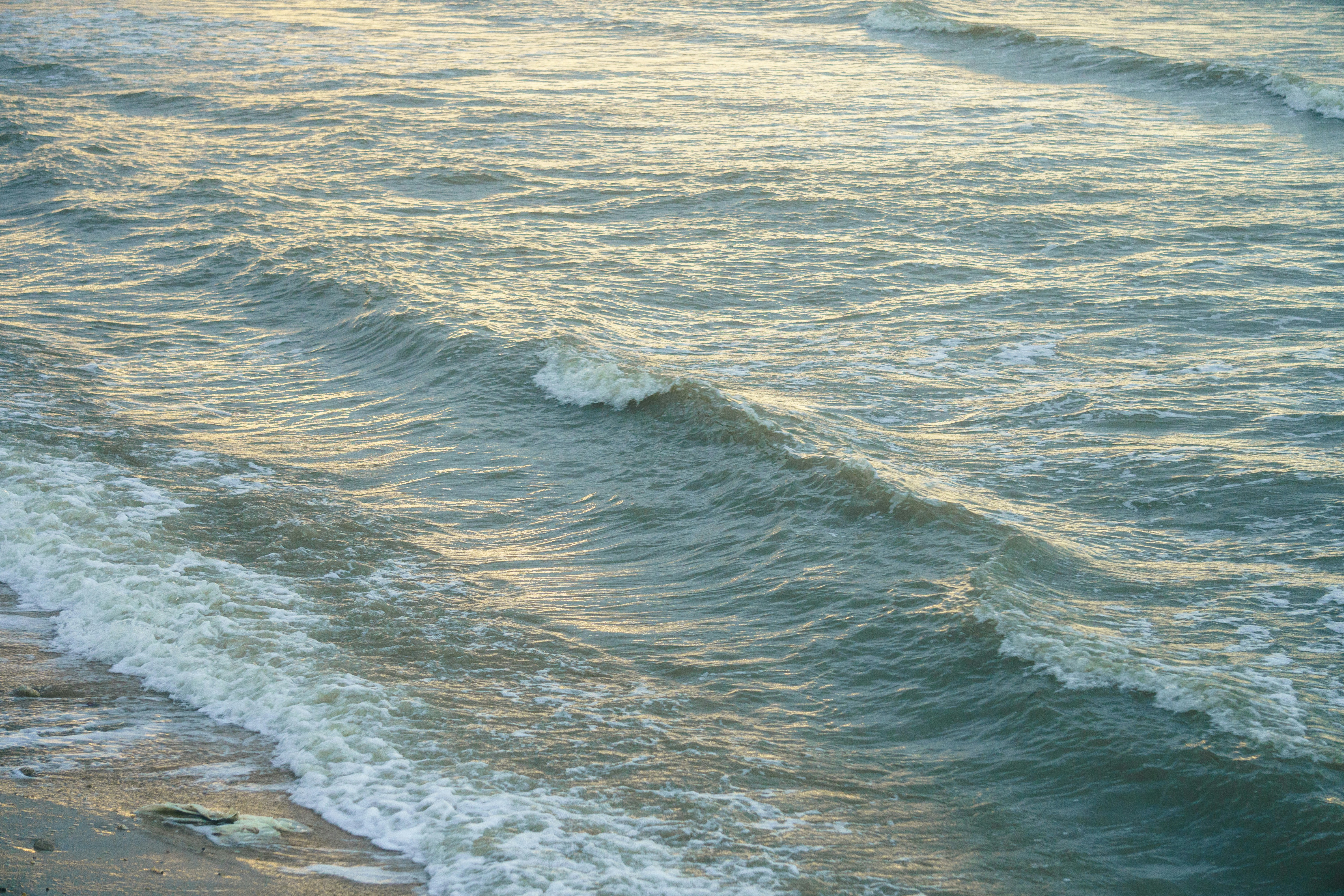 Sunlit Breakers: Aquiet Sea Sketch Along the Shore