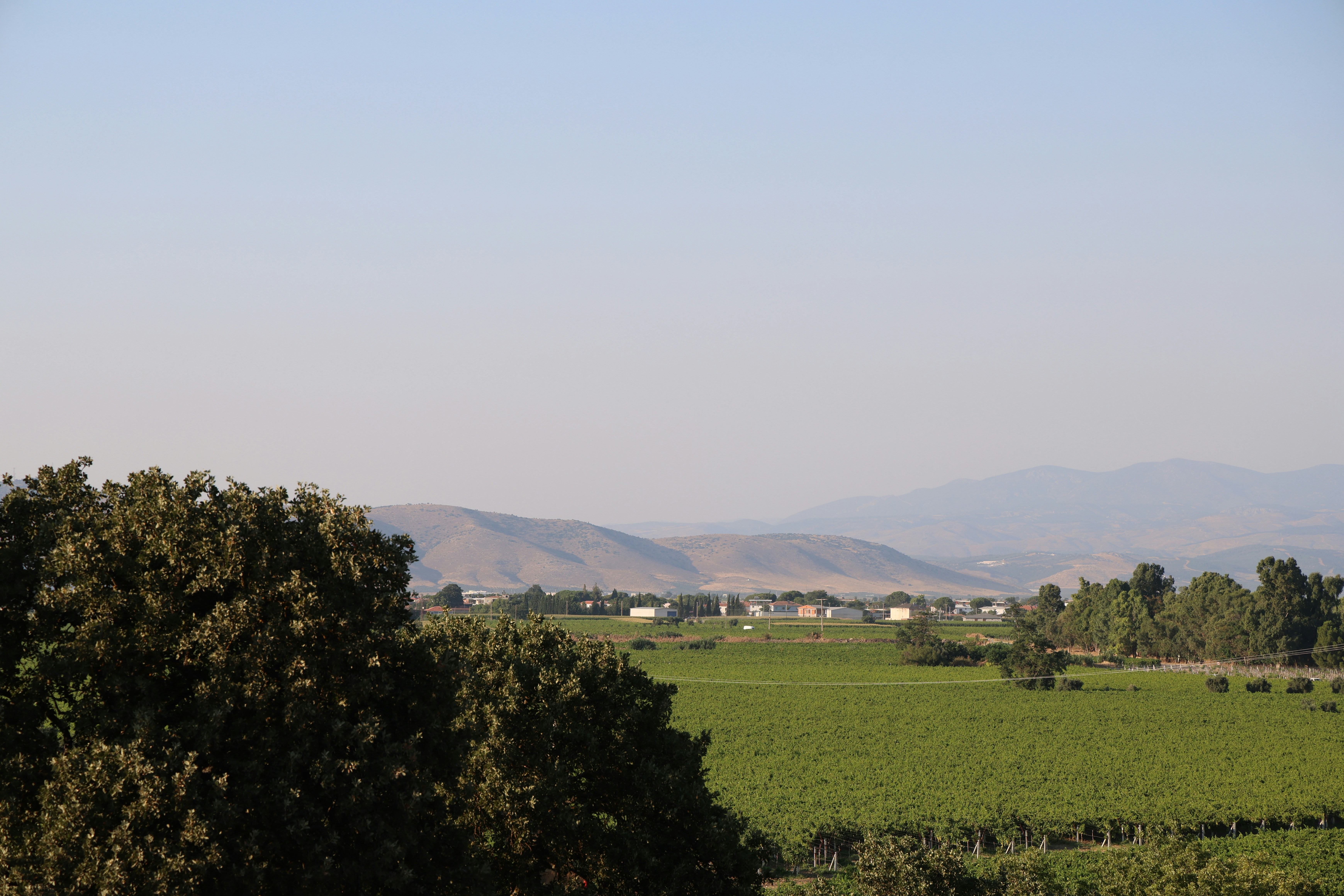 Vast Valley Horizon: Orchard, Fields, and Distant Mountains