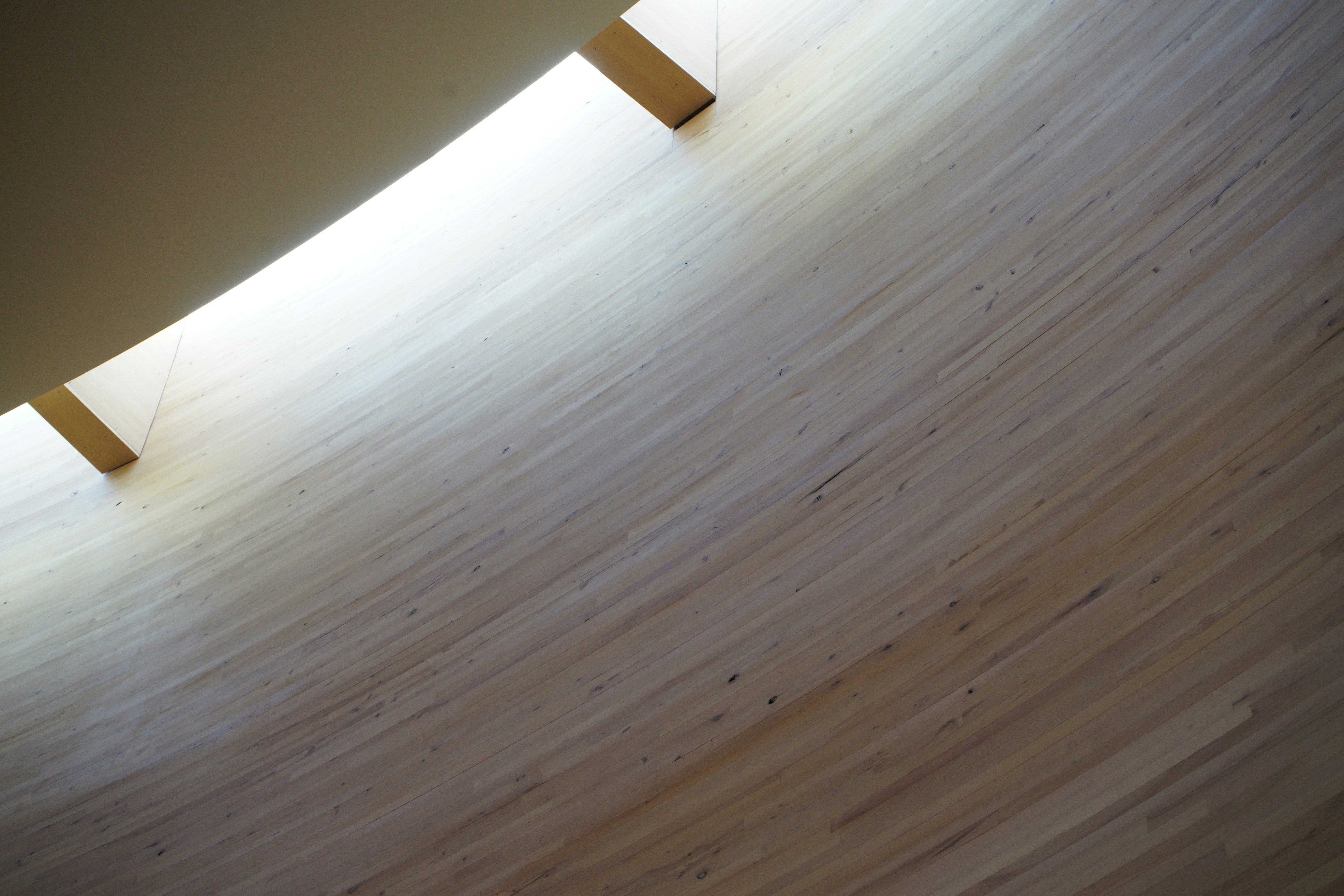 Tilted Light, Quiet Floor: A Minimal Indoor Geometry