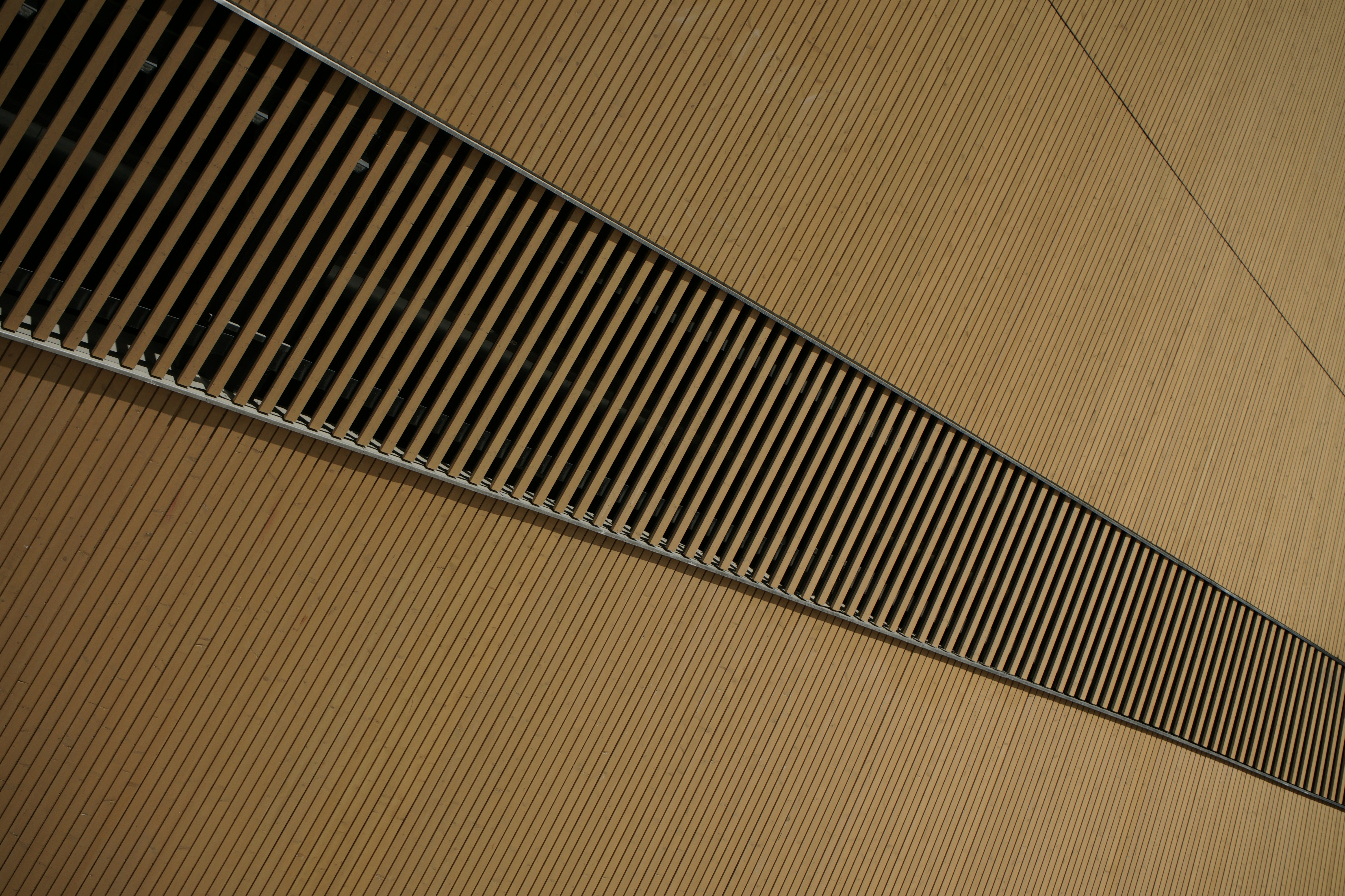 Diagonal Veil: A Golden Facade and Its Striated Rhythm